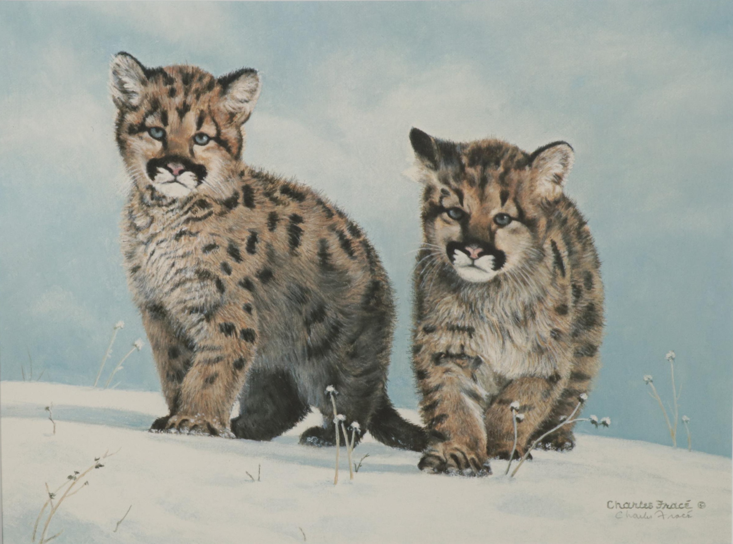 Charles Fracé Big Cat Offset Lithographs "Mountain Lion" and "Winter ...