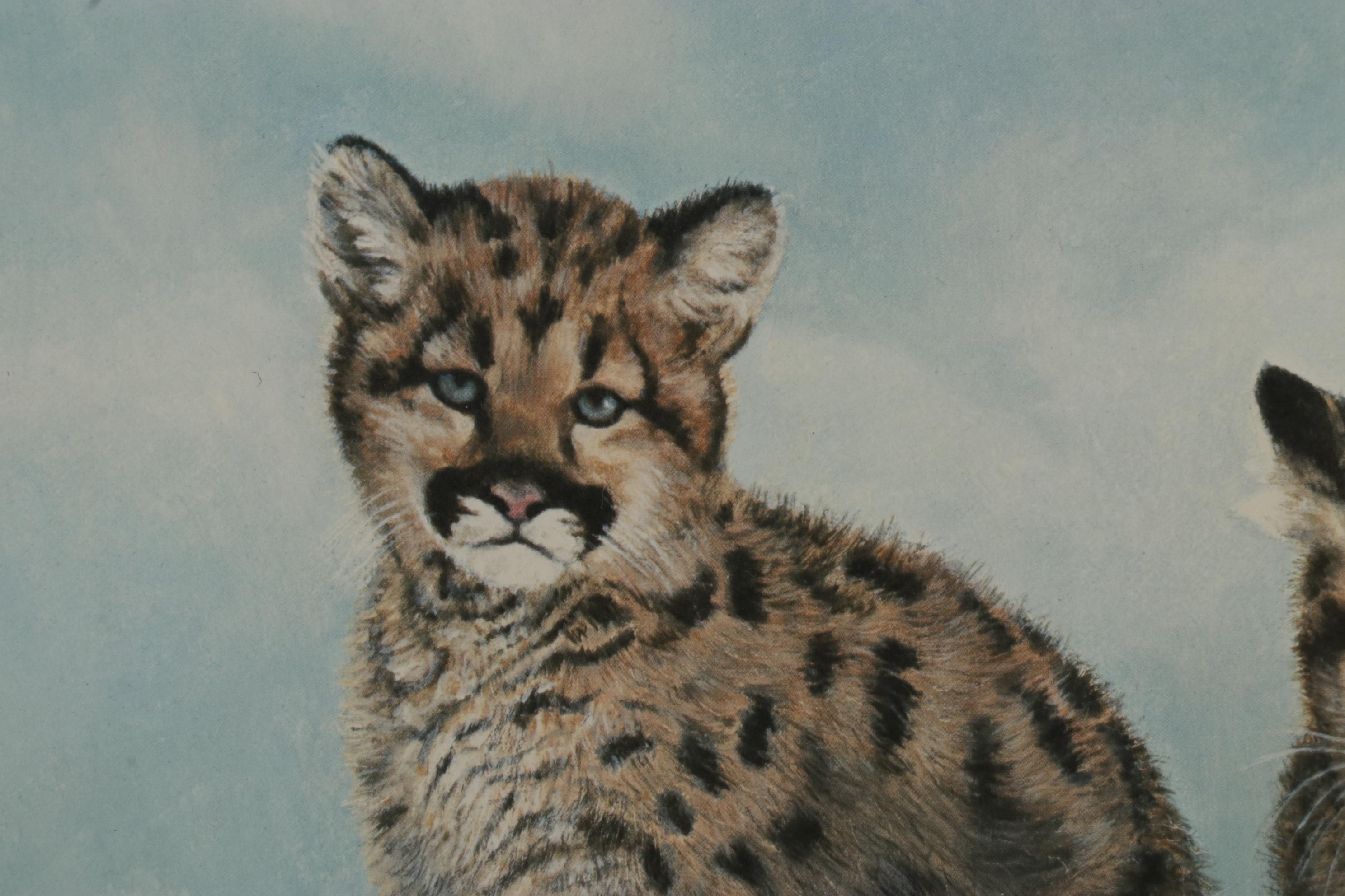 Charles Fracé Big Cat Offset Lithographs "Mountain Lion" and "Winter ...