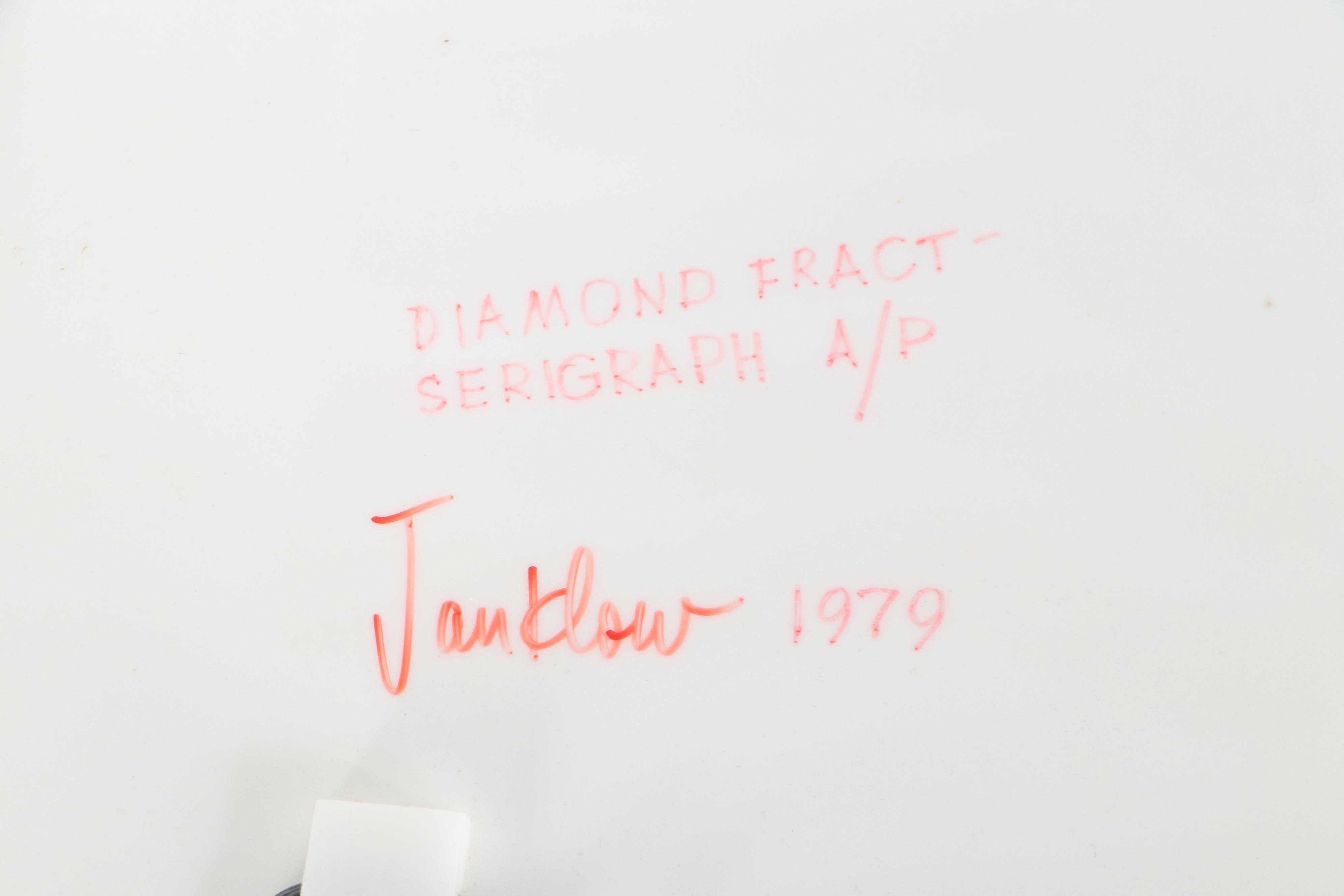 Len Janklow Op Art Serigraph "Diamond Fract" | EBTH