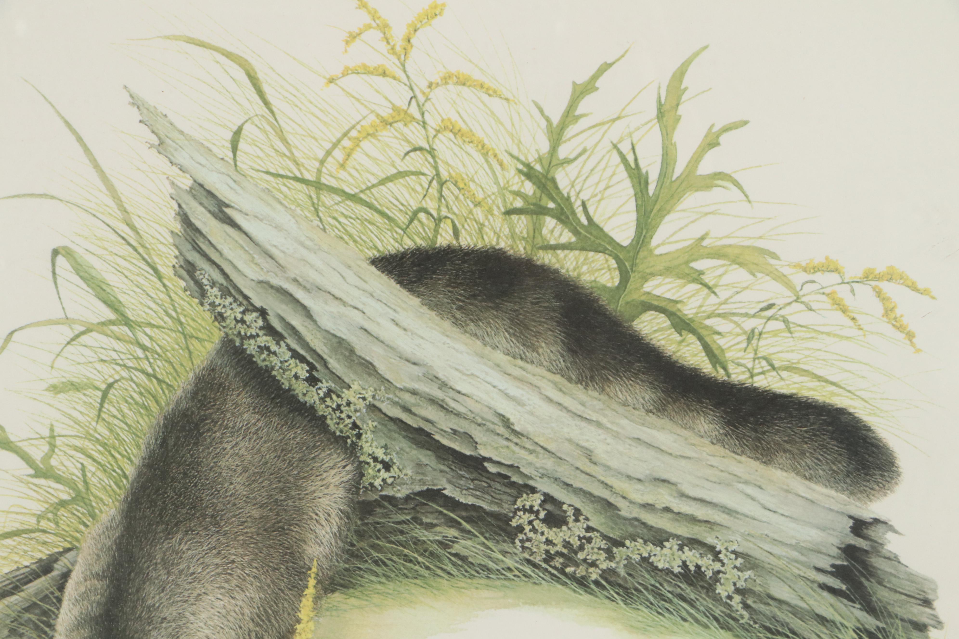 Imogene Farnsworth Offset Lithograph "The Fox and the Frog" | EBTH