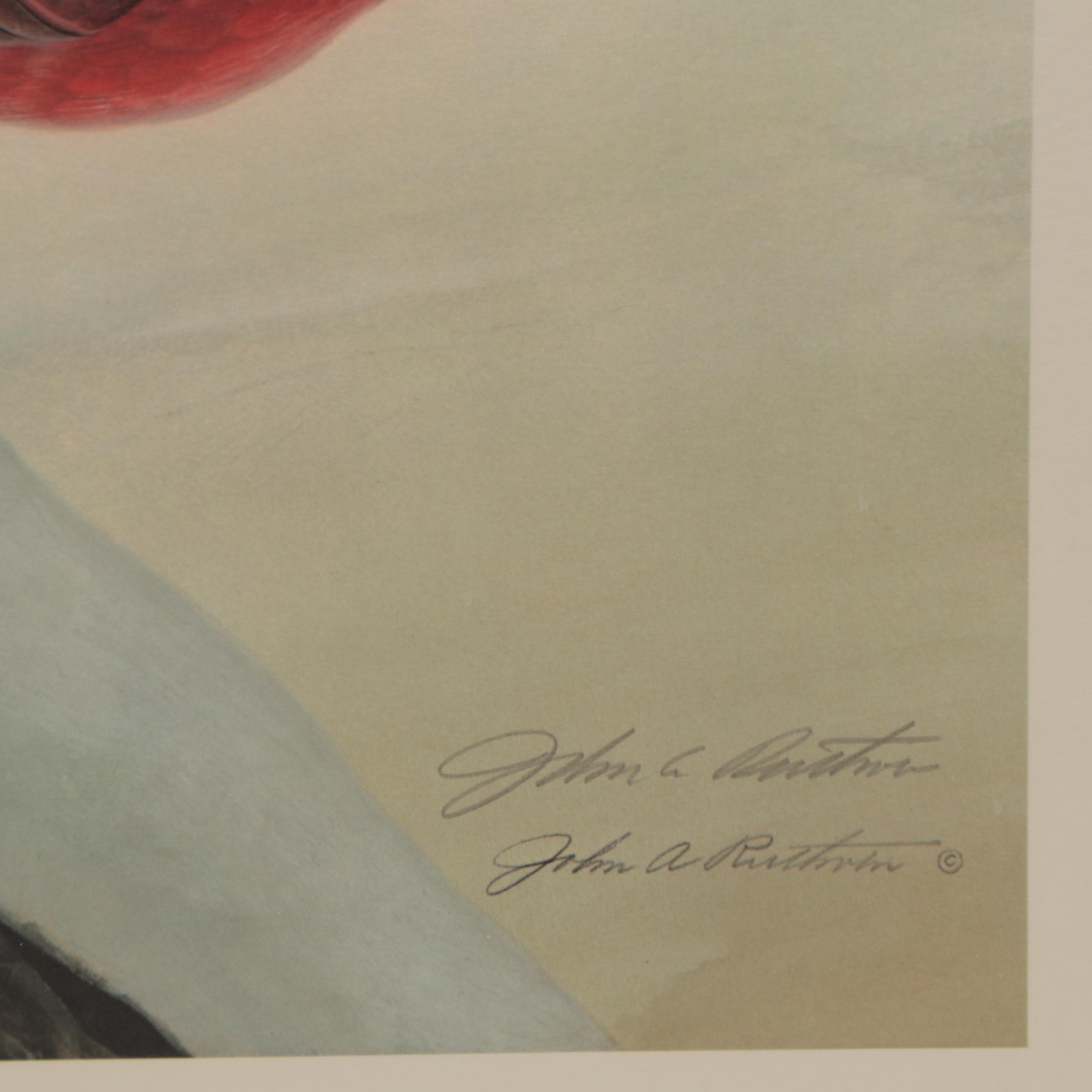 John Ruthven Offset Lithograph "Cardinal" | EBTH