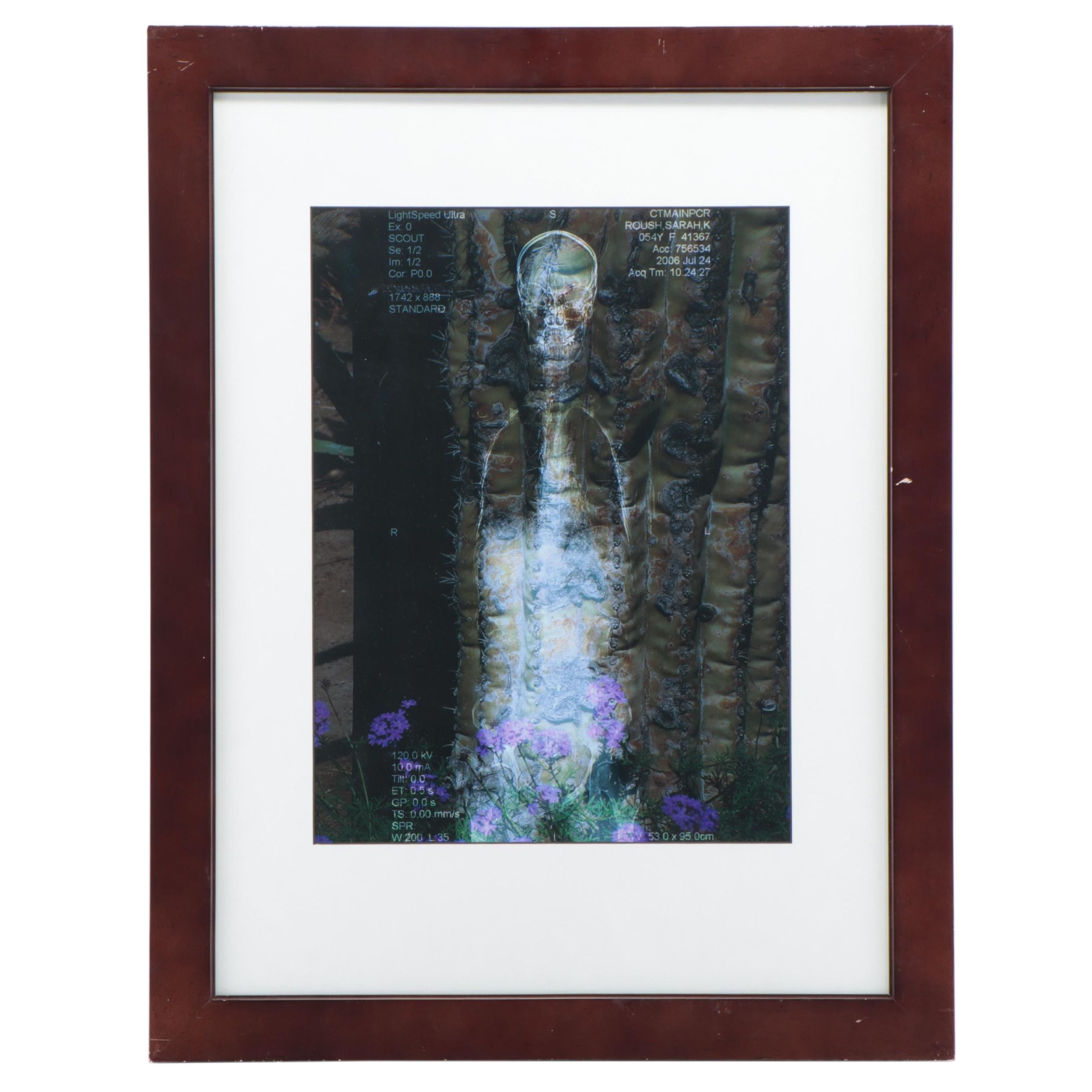 Sarah Roush Personal X-Ray Digital Photograph Collage "Bone and Cactus ...