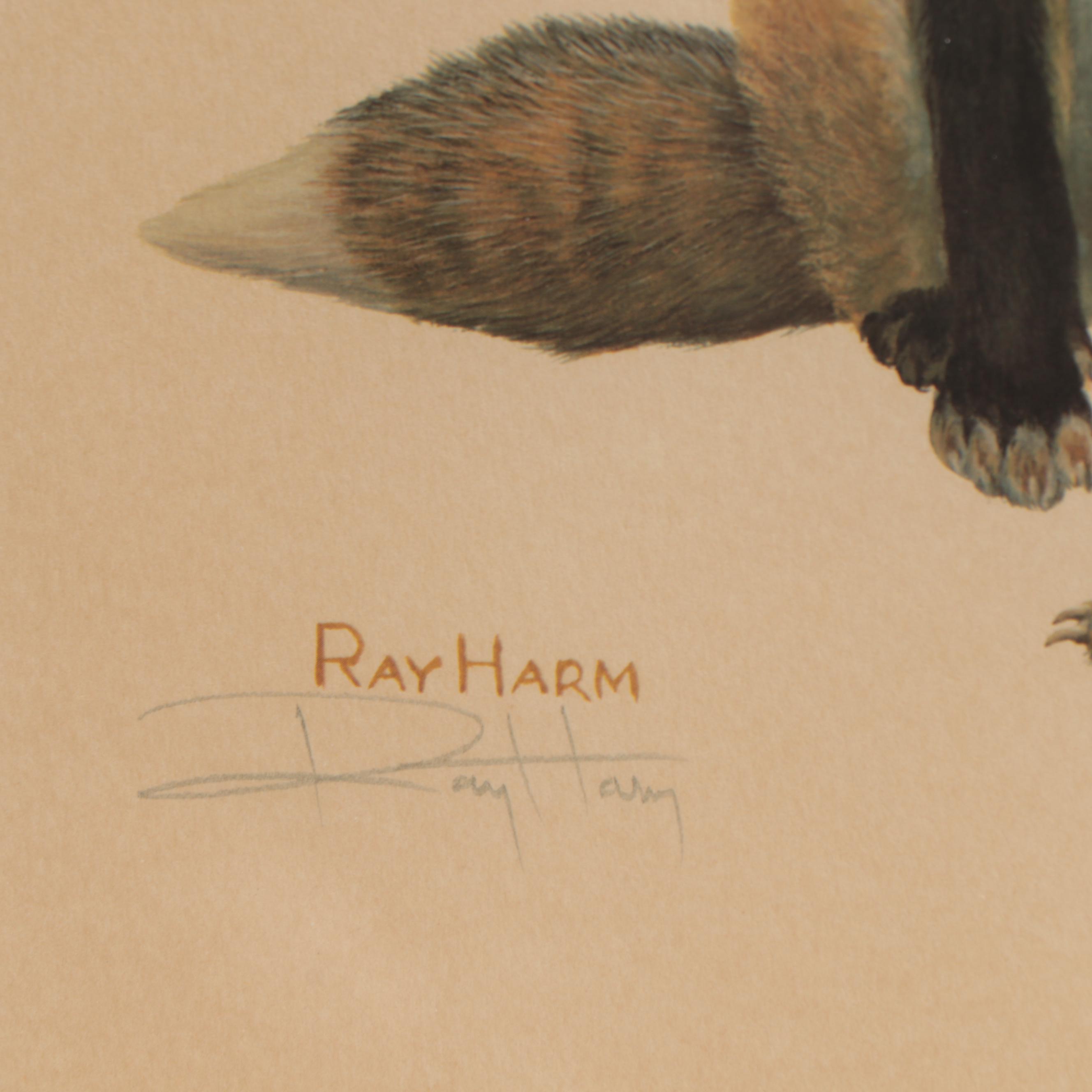 Ray Harm Offset Lithograph "Red Fox" | EBTH