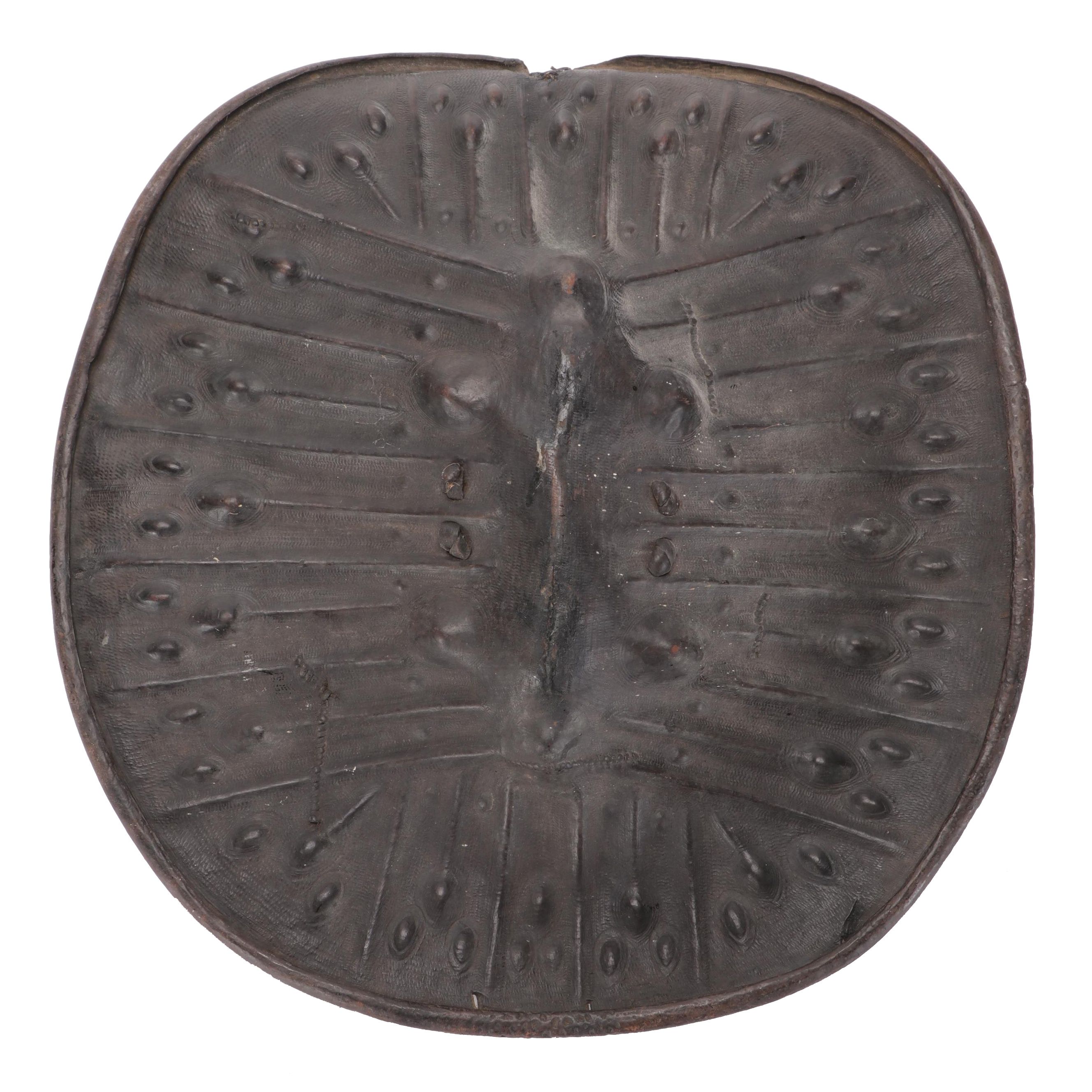 Large Ethiopian Hide Shield, Oromo Tribe | EBTH