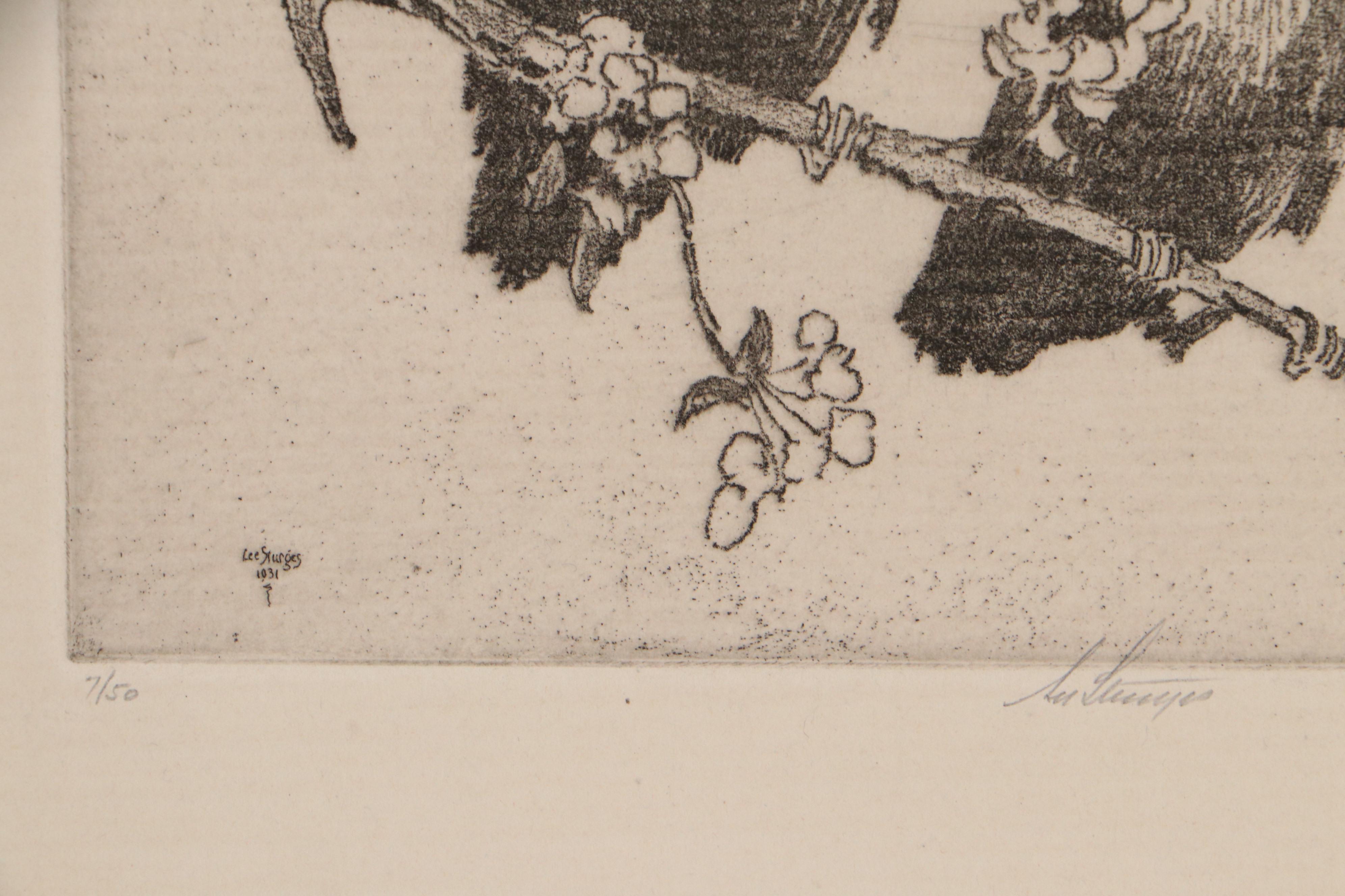 Lee Sturges and Charles E. Heil Bird and Botanical Etchings, Early 20th ...