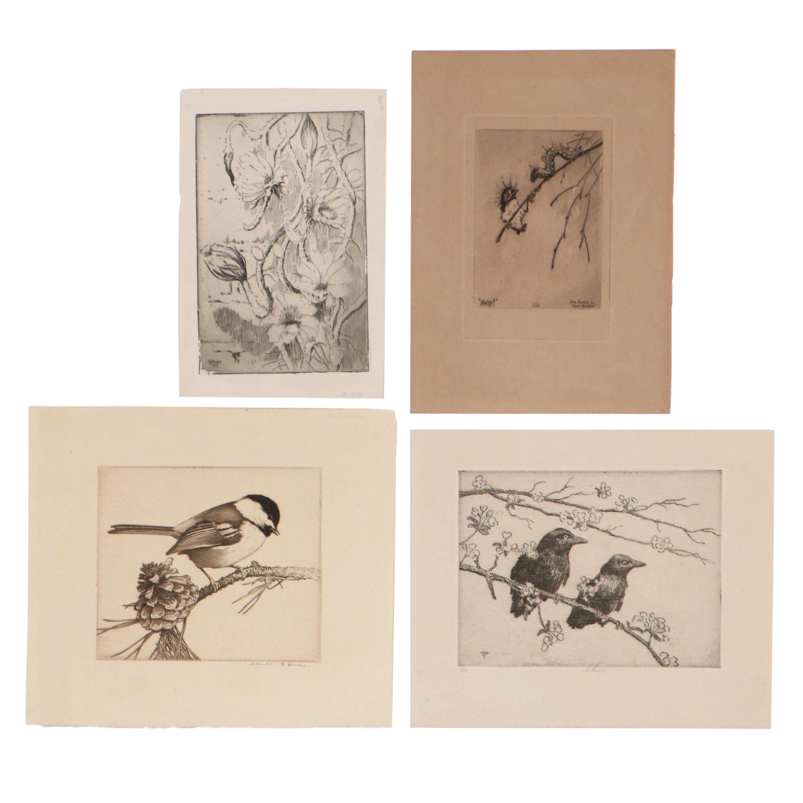 Lee Sturges and Charles E. Heil Bird and Botanical Etchings, Early 20th ...