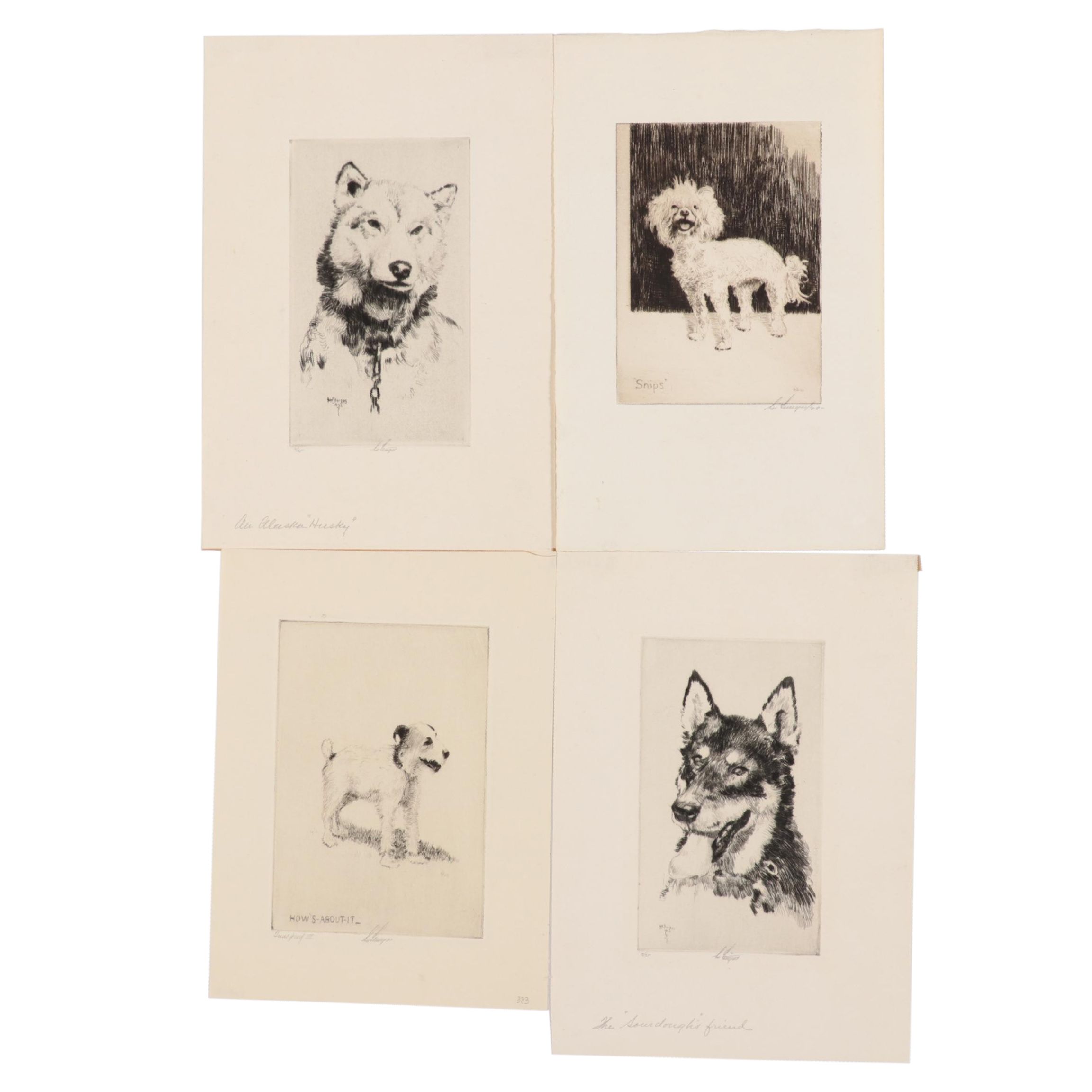 Lee Sturges Etchings of Dogs, Early 20th Century | EBTH