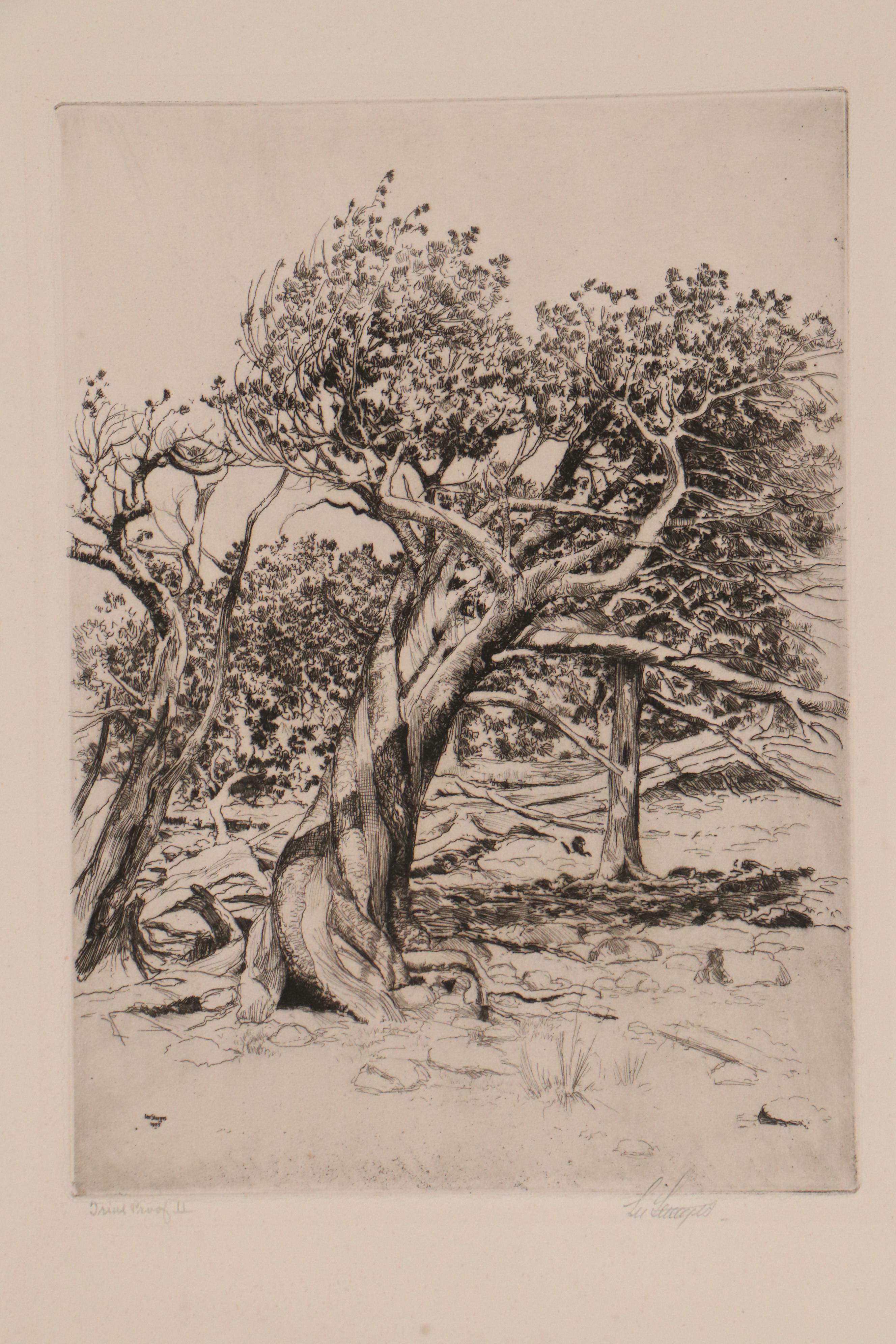 Lee Sturges Etchings Including "Stark Peak and Mount Wilbur," Circa ...