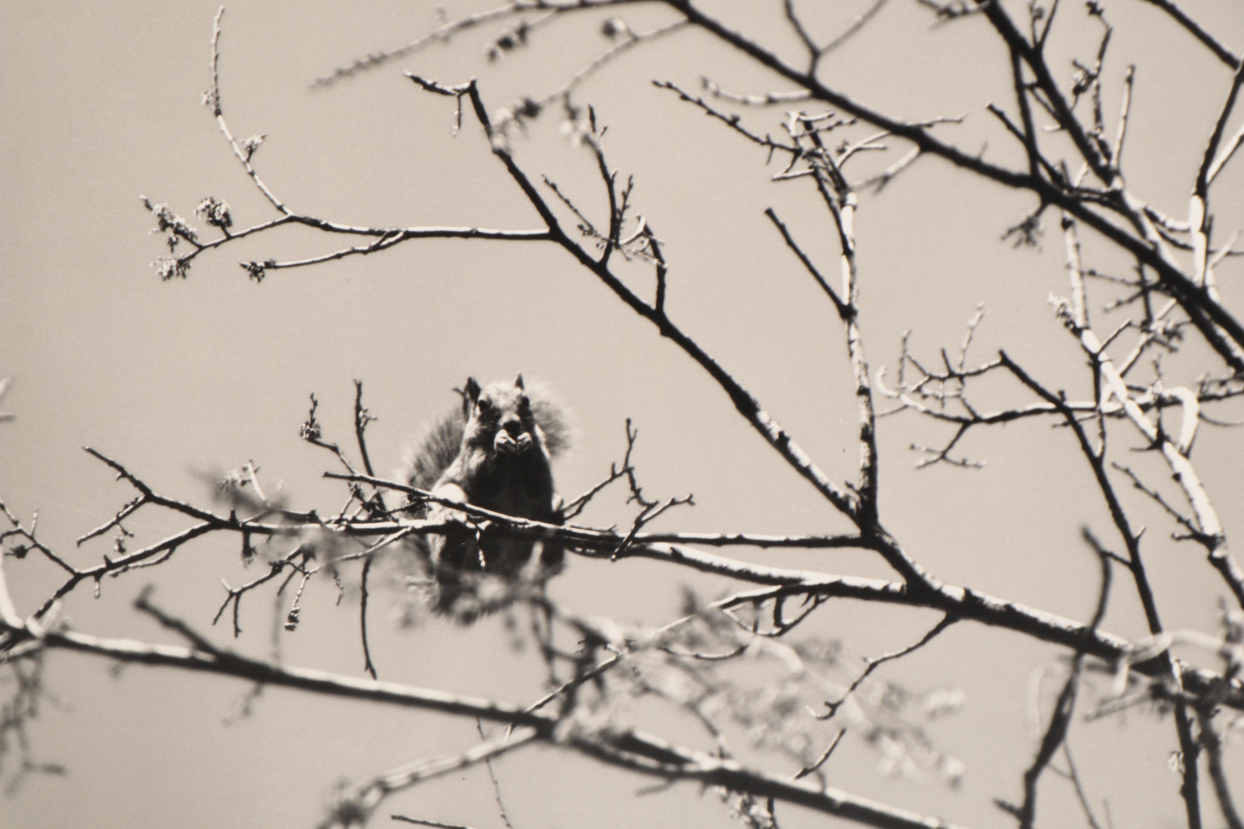 Sandy Underwood Silver Gelatin Photographs of Cincinnati Scenes | EBTH
