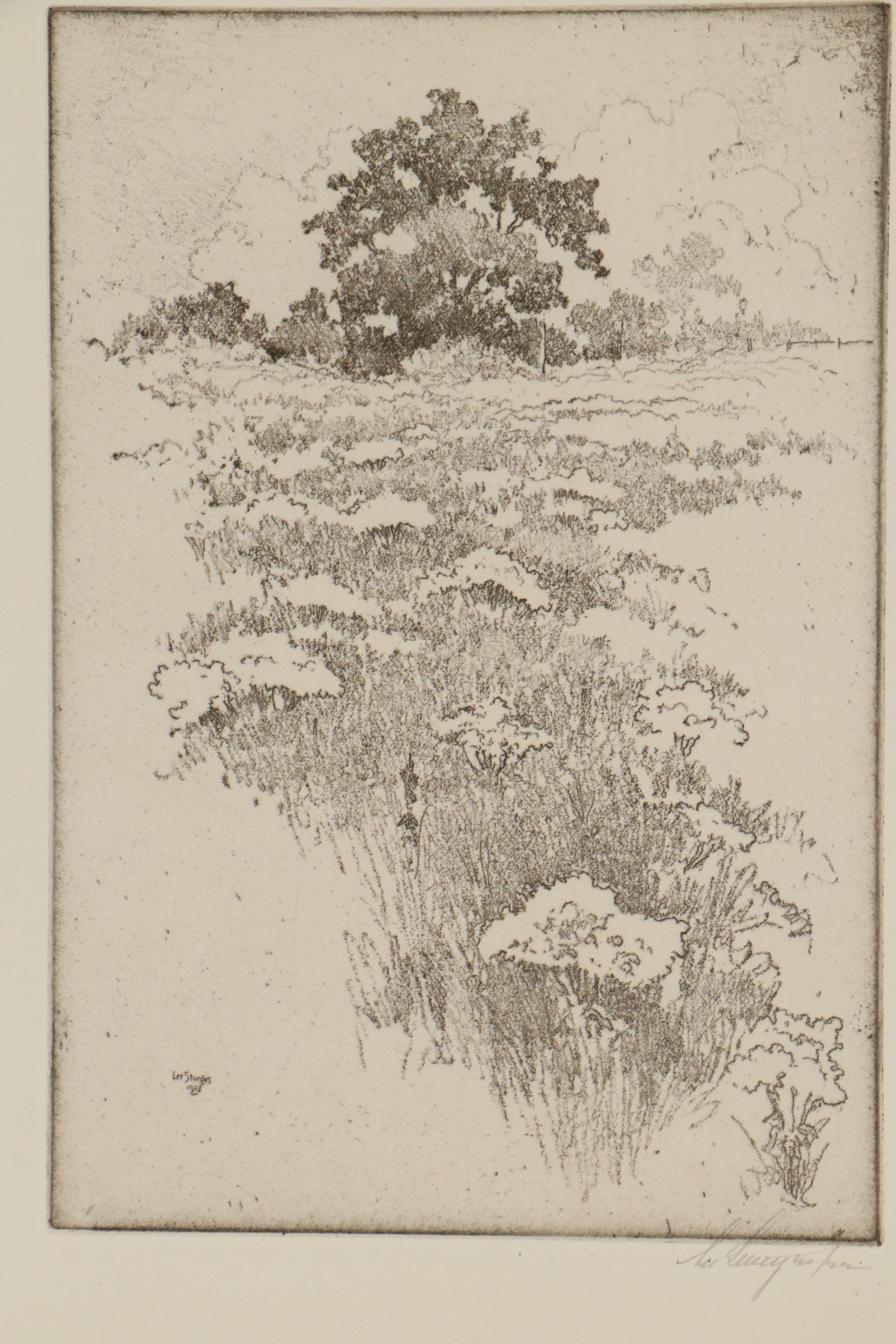 Lee Sturges Landscape Etchings, Early 20th Century | EBTH