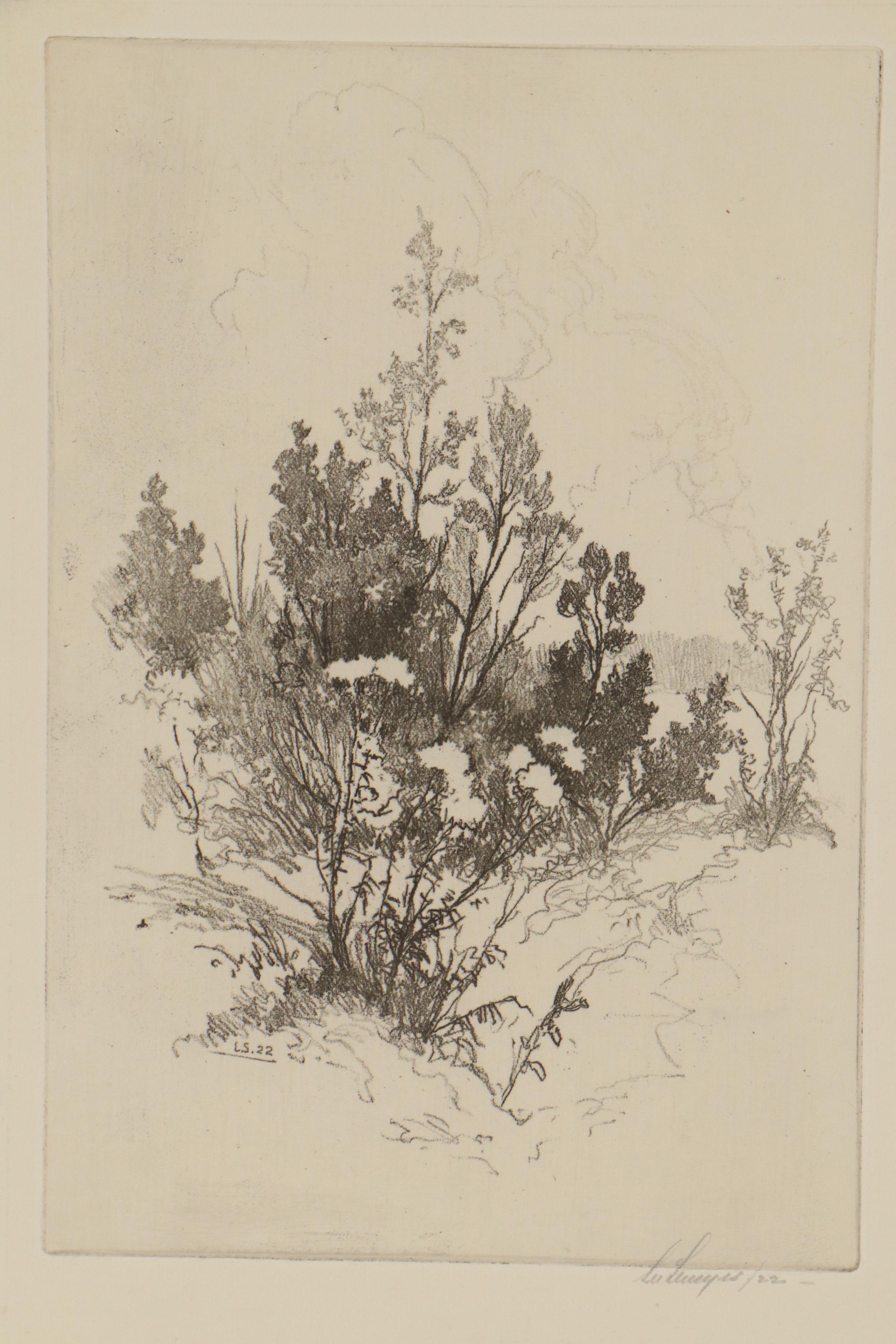 Lee Sturges Landscape Etchings, Early 20th Century | EBTH