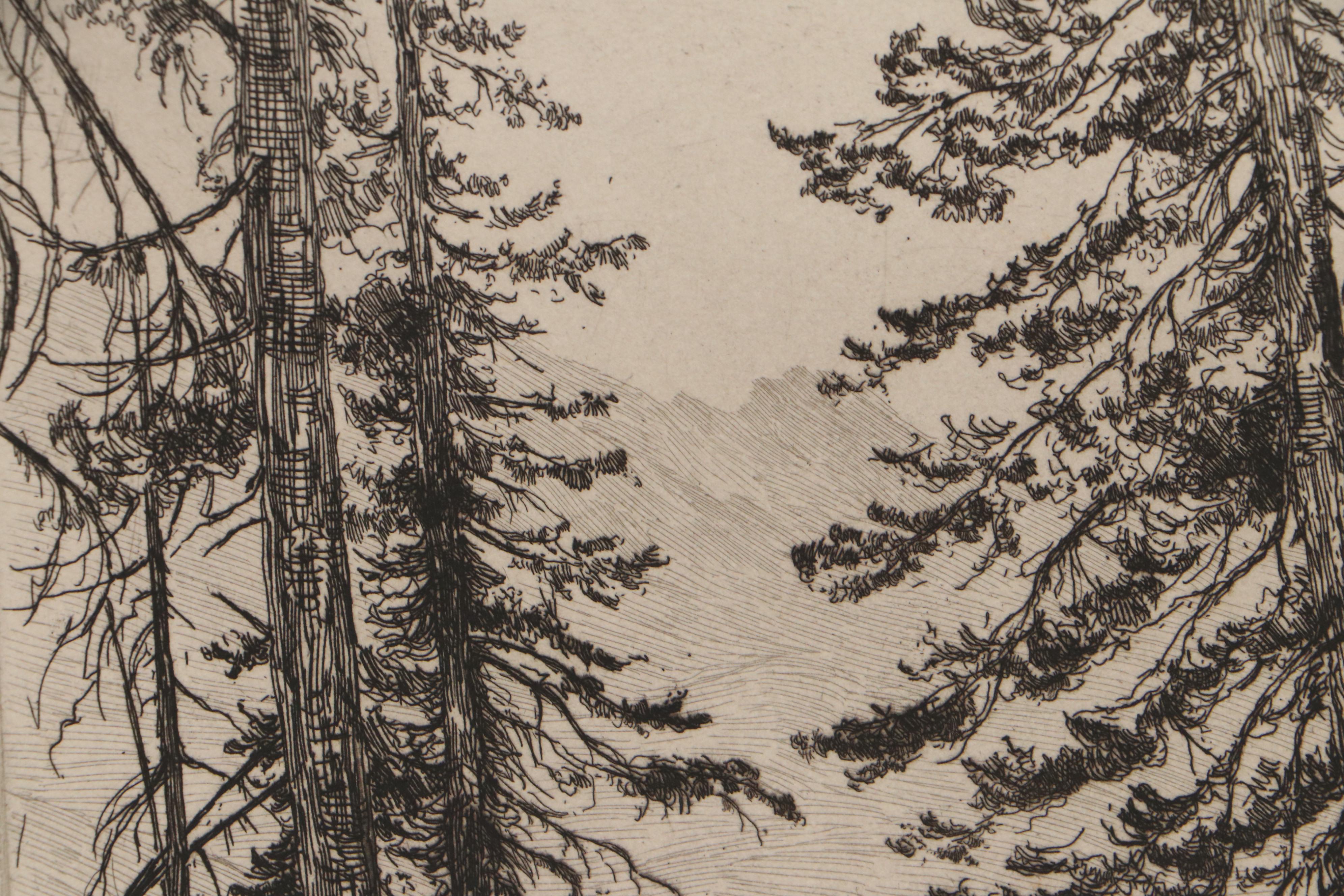 Lee Sturges Etching "A Mountain Lake (Lake McDermott, Rocky Mountains ...