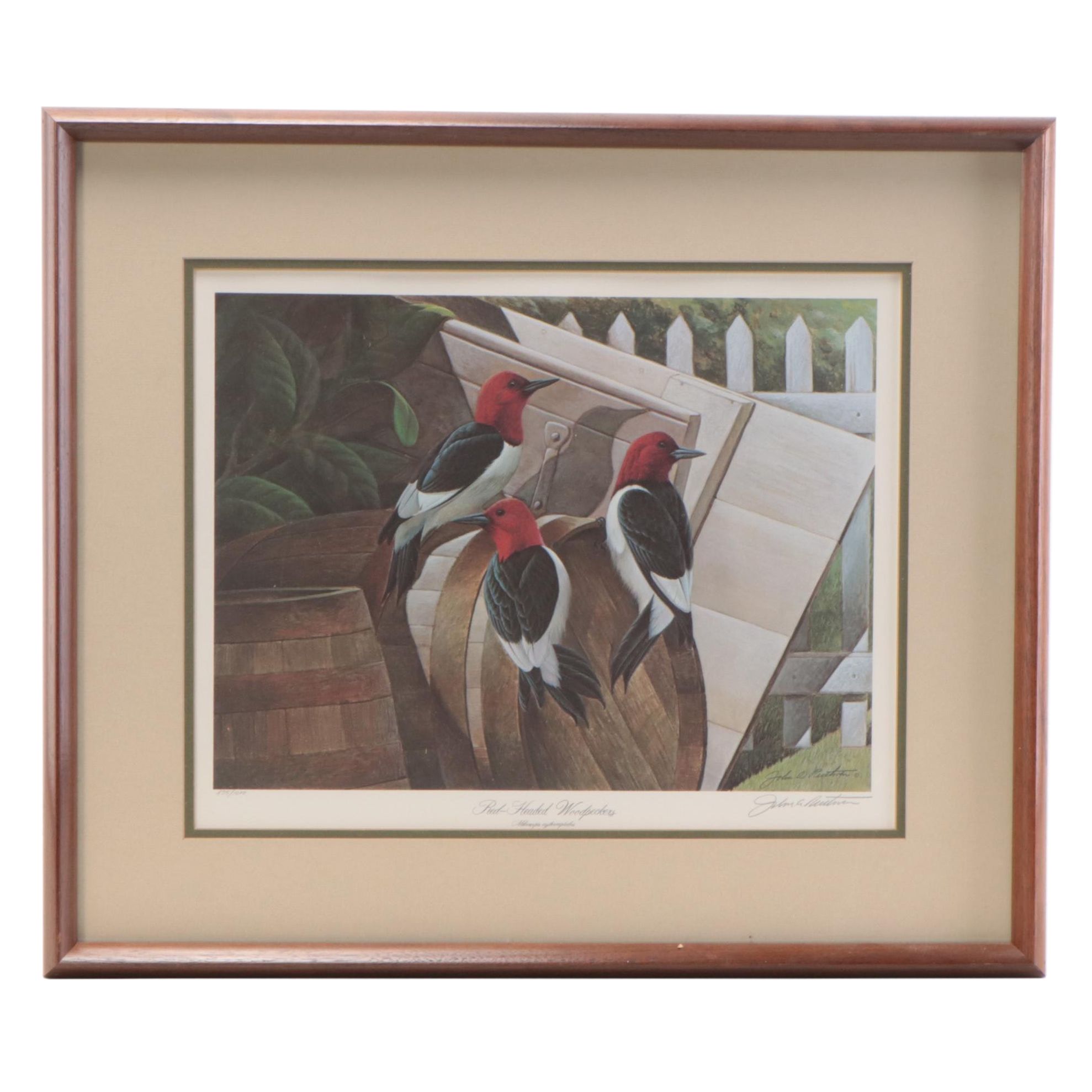 John Ruthven Offset Lithograph "Red-Headed Woodpeckers," Late 20th ...