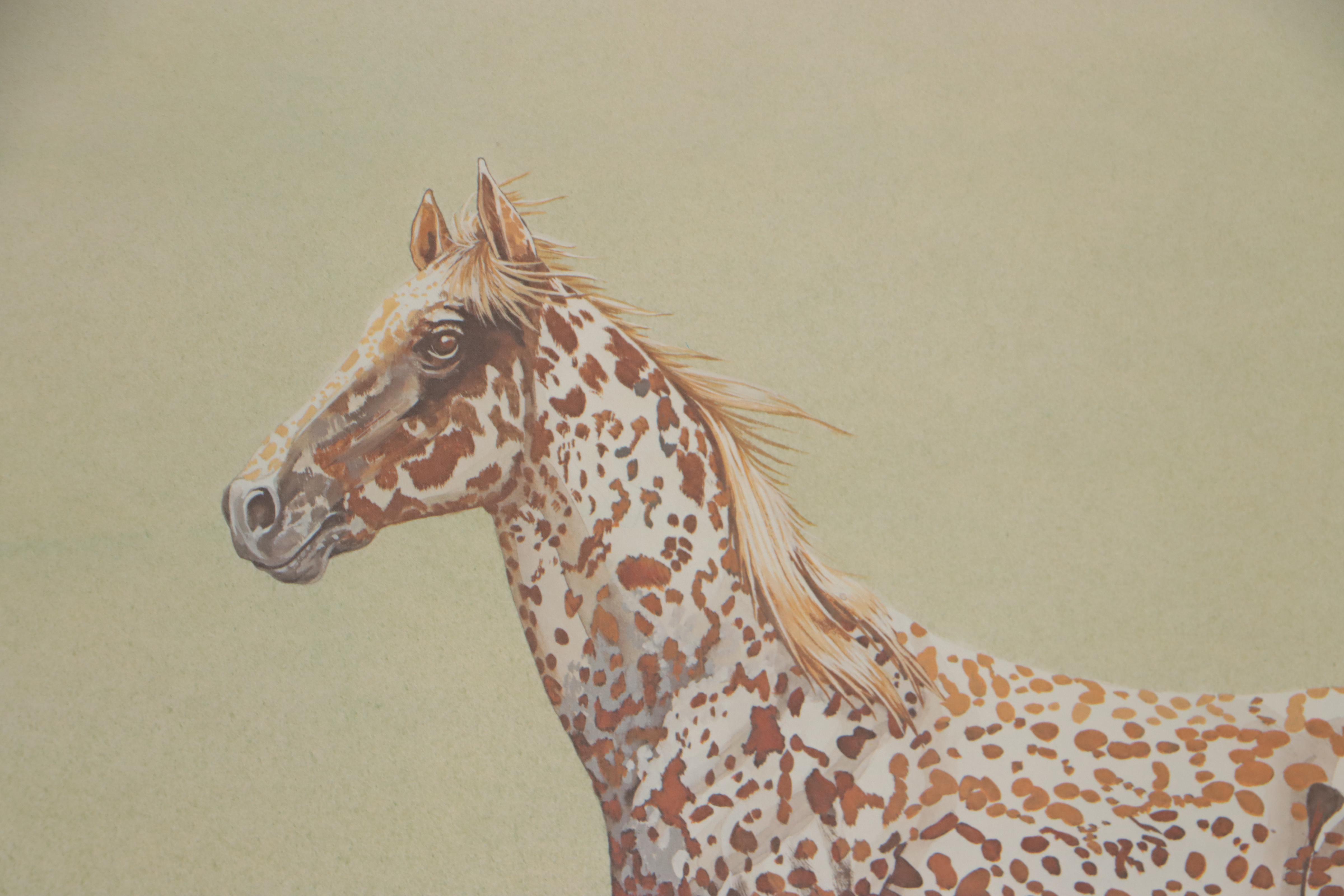 Gene Gray Offset Lithograph "The Appaloosa 'Superstar'," 1979 | EBTH