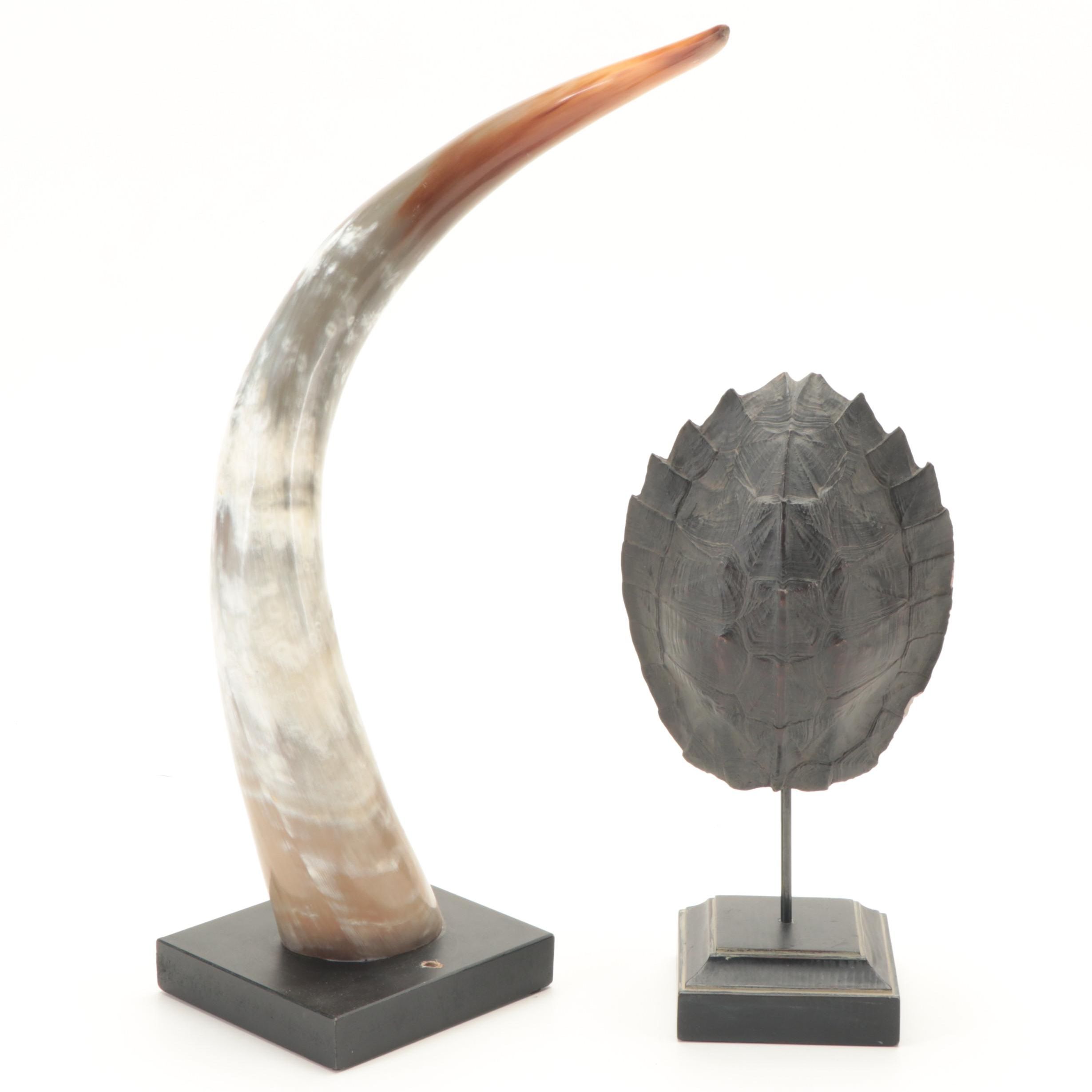 Restoration Hardware Faux Turtle Shell on Stand with Faux Horn Decor ...