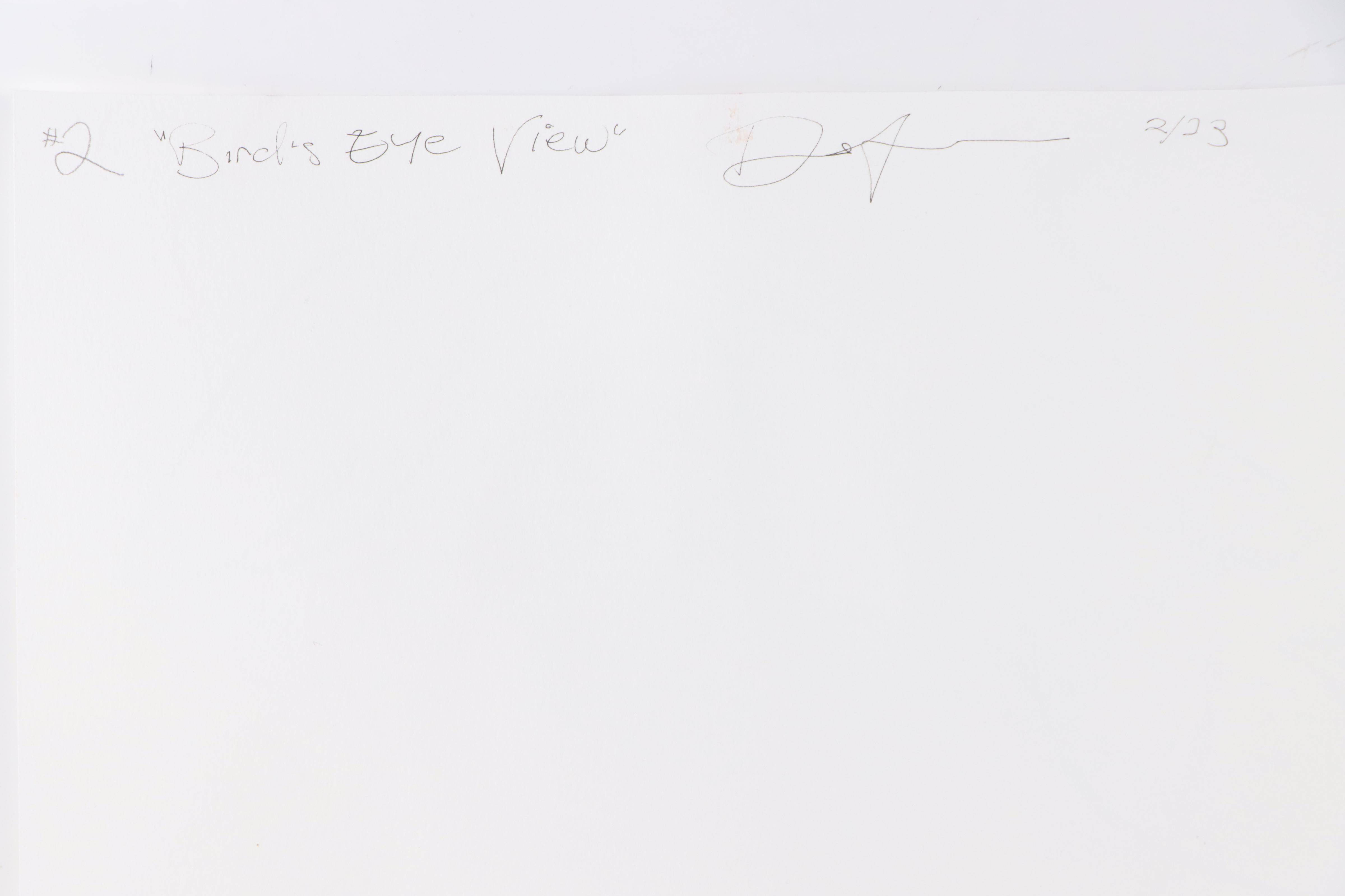 Dan Sabau Watercolor and Gouache Painting "Bird's Eye View," 2023 | EBTH