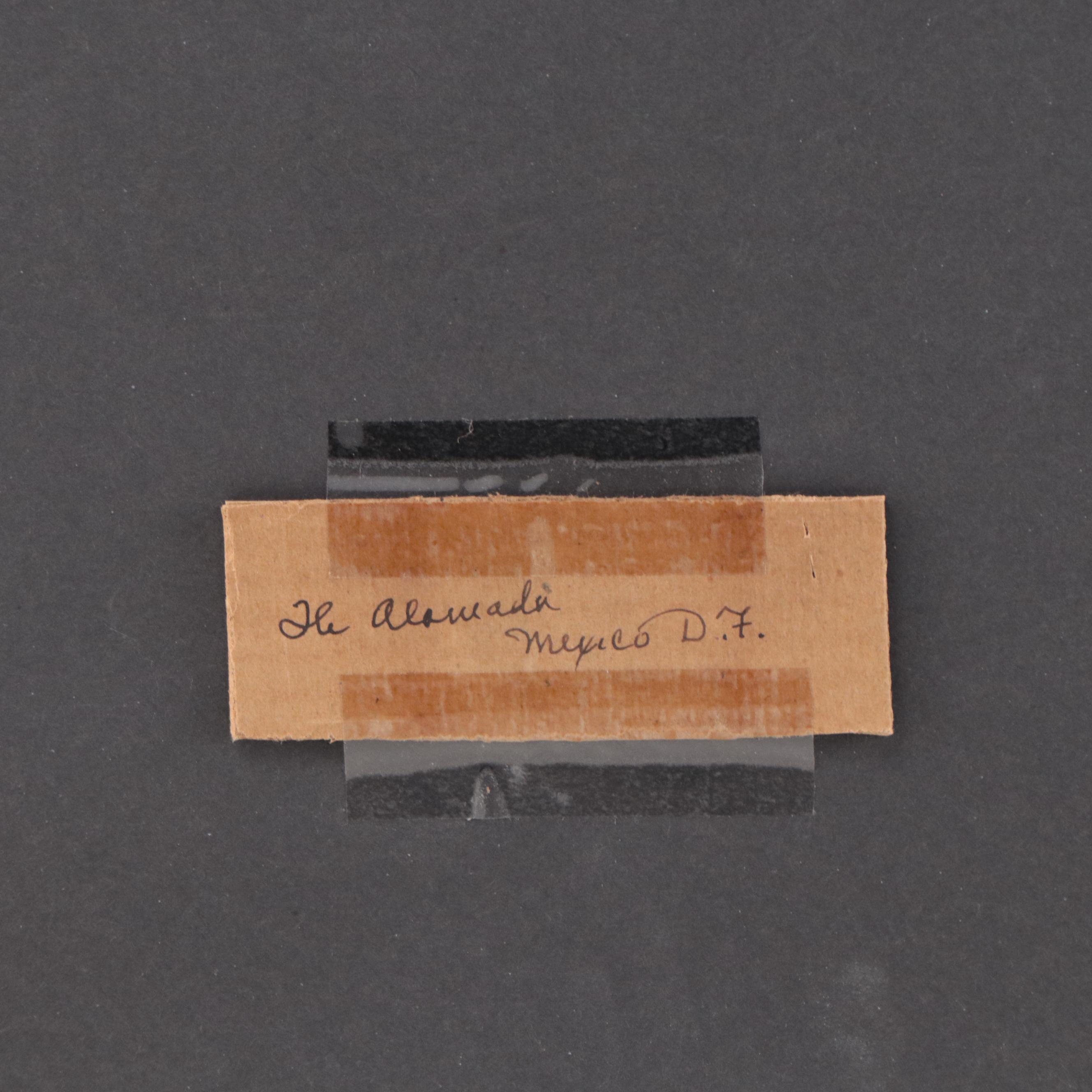 Paul Ashbrook Watercolor Painting of Figures On Park Bench "The Alameda ...