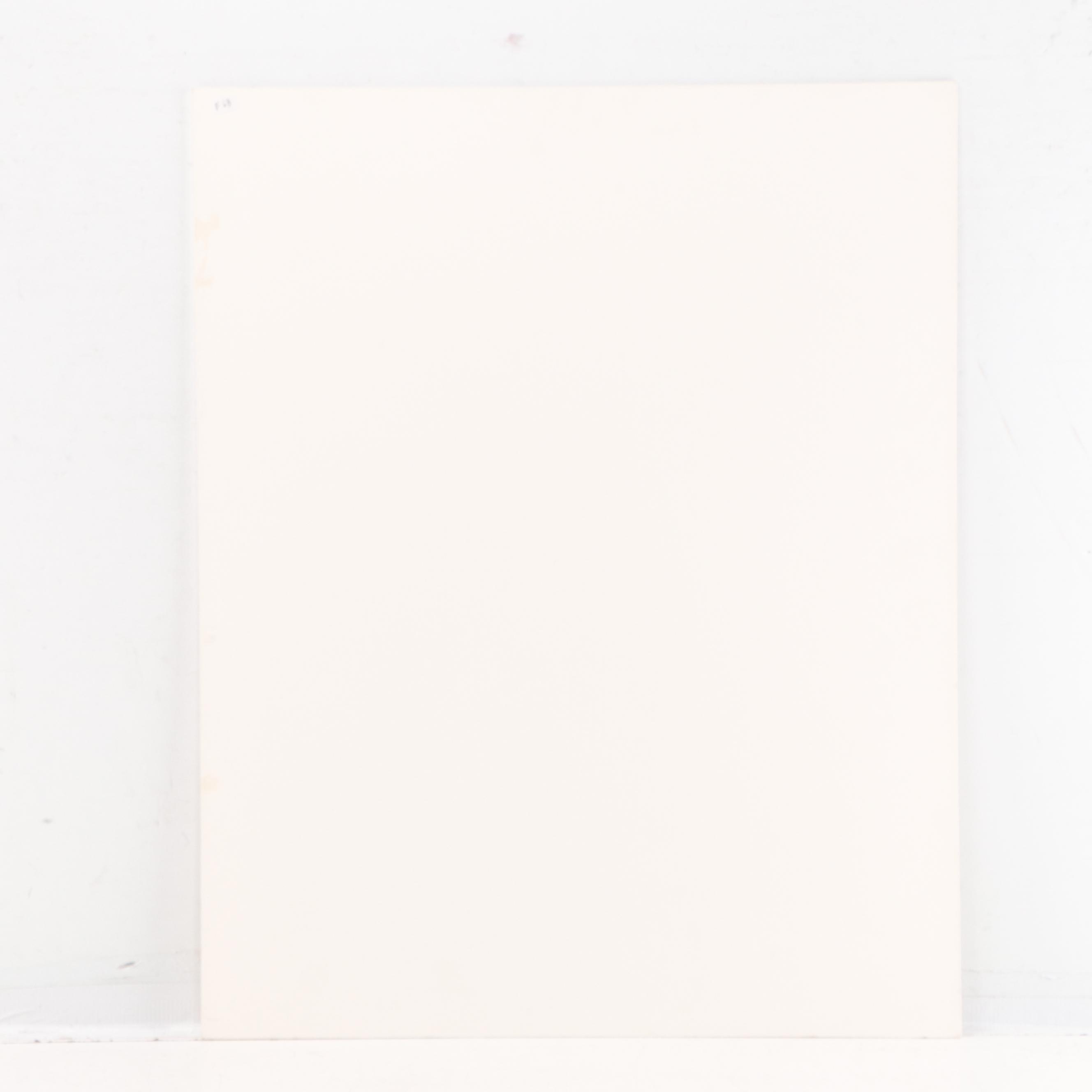 Georges Plasse Nocturne Cityscape Aquatint of Chartres Cathedral | EBTH