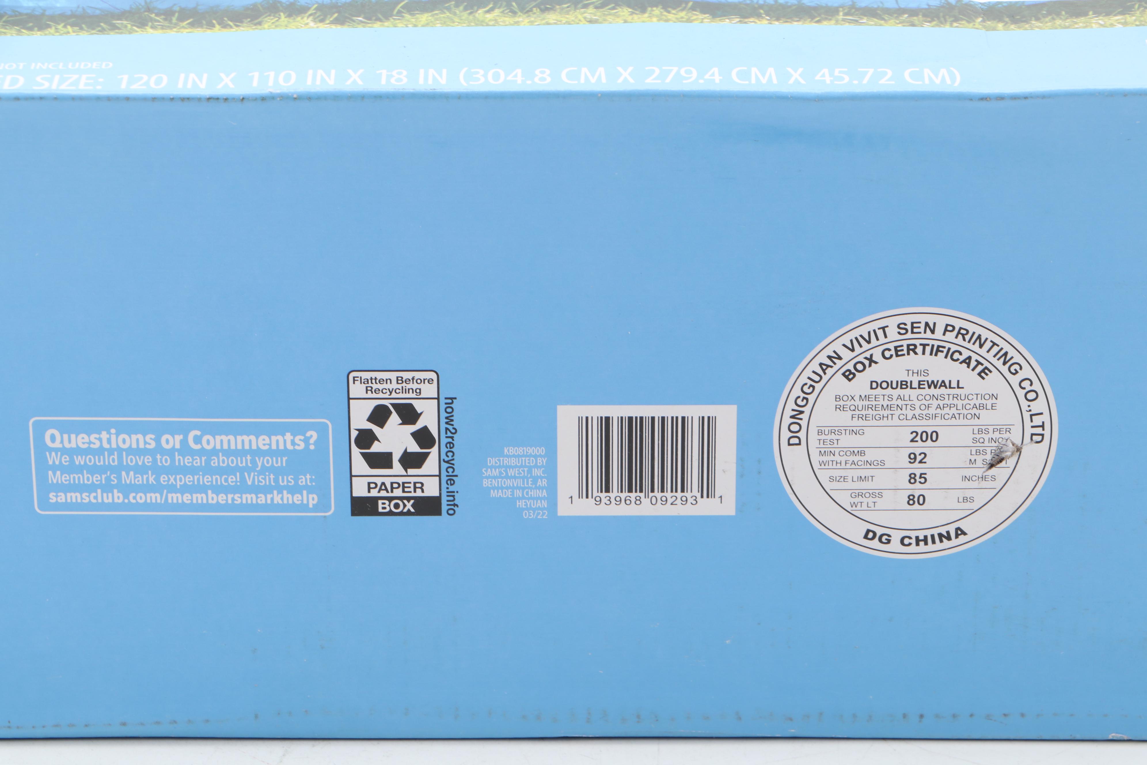 Member's Mark Inflatable Mosaic Family Pool | EBTH