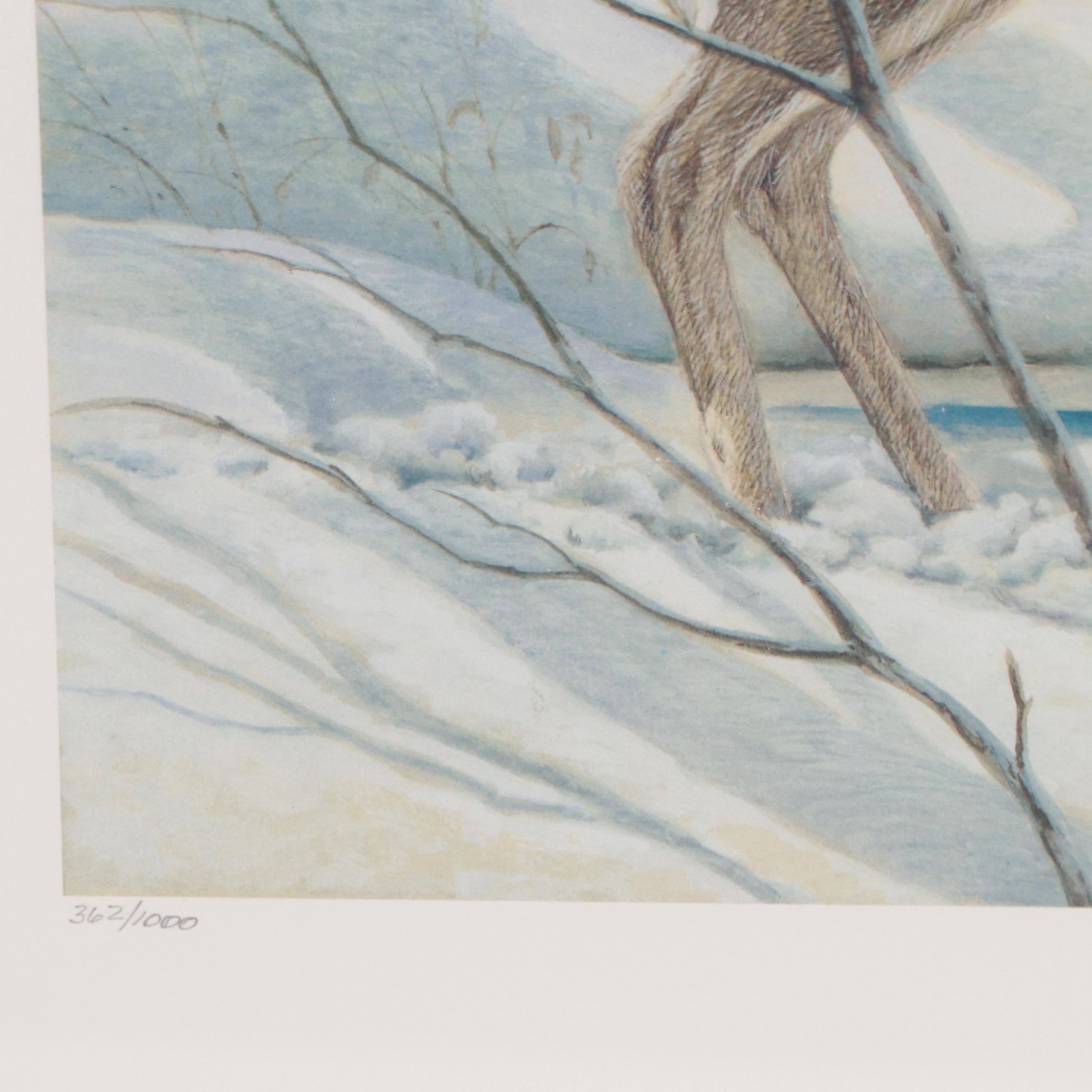 John Ruthven Offset Lithograph "White-tailed Deer" | EBTH