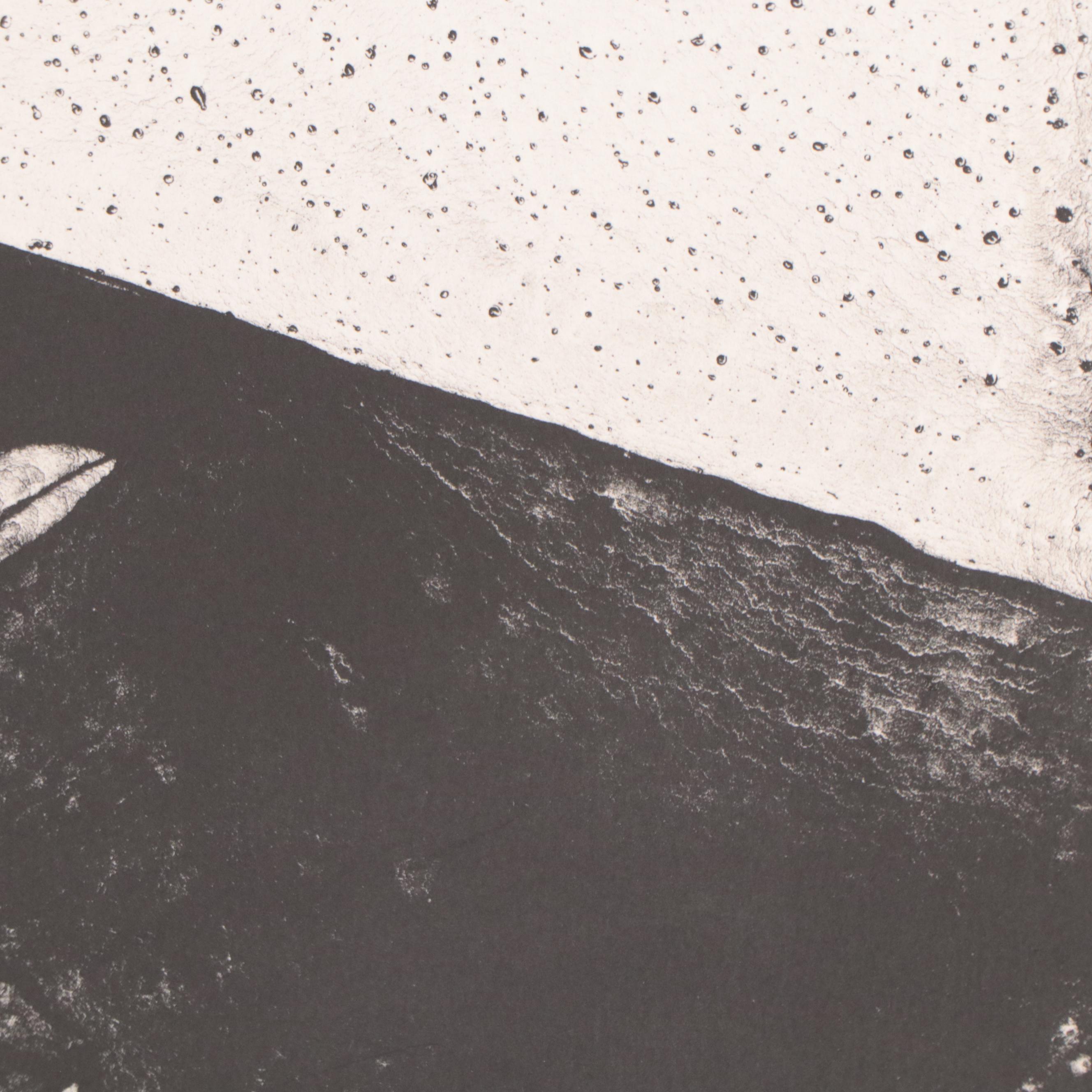 Deirdre Davis Zehnder Biomorphic Lithograph, 1986 | EBTH