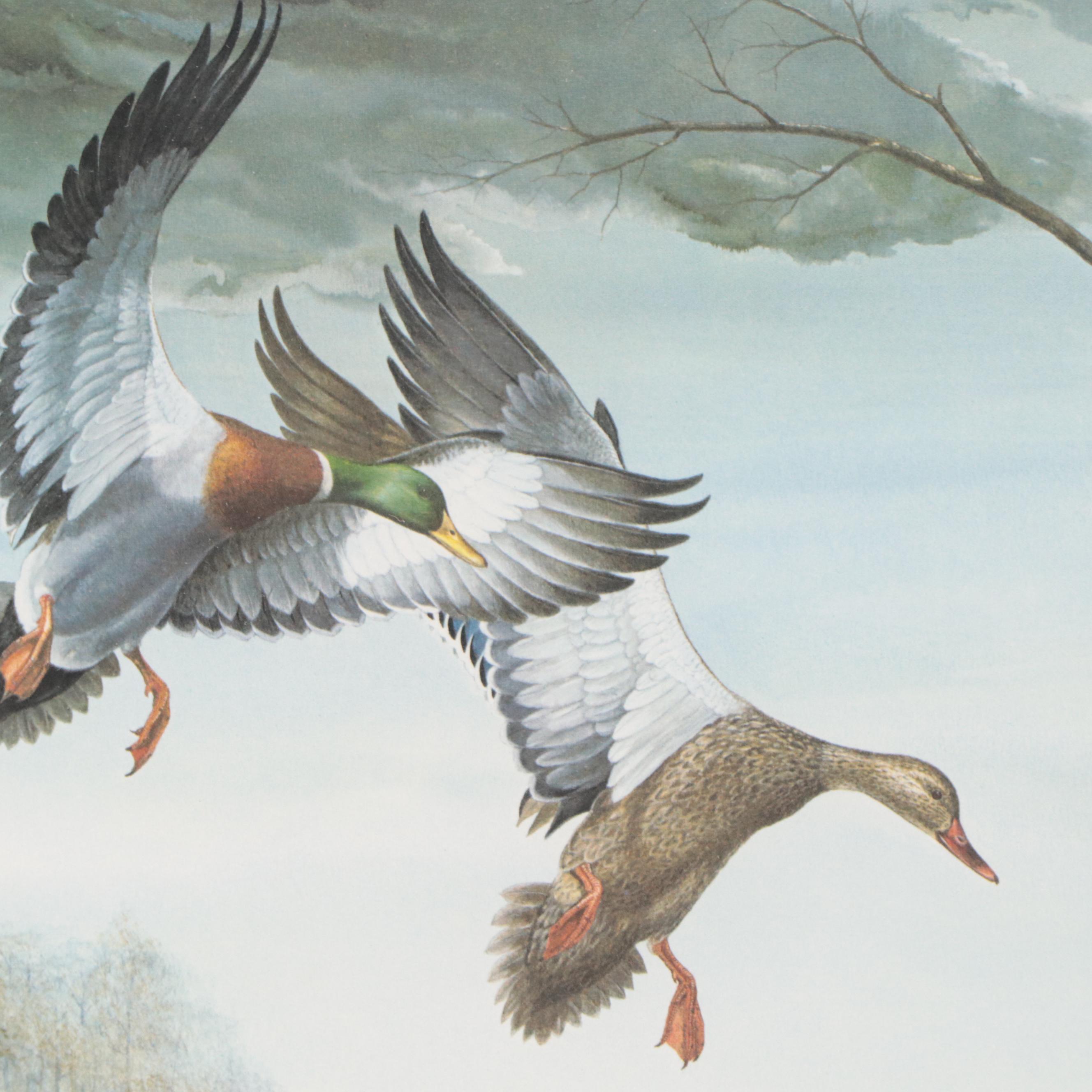 Larry Barton and Ray Harm Offset Lithographs of Birds in Flight | EBTH