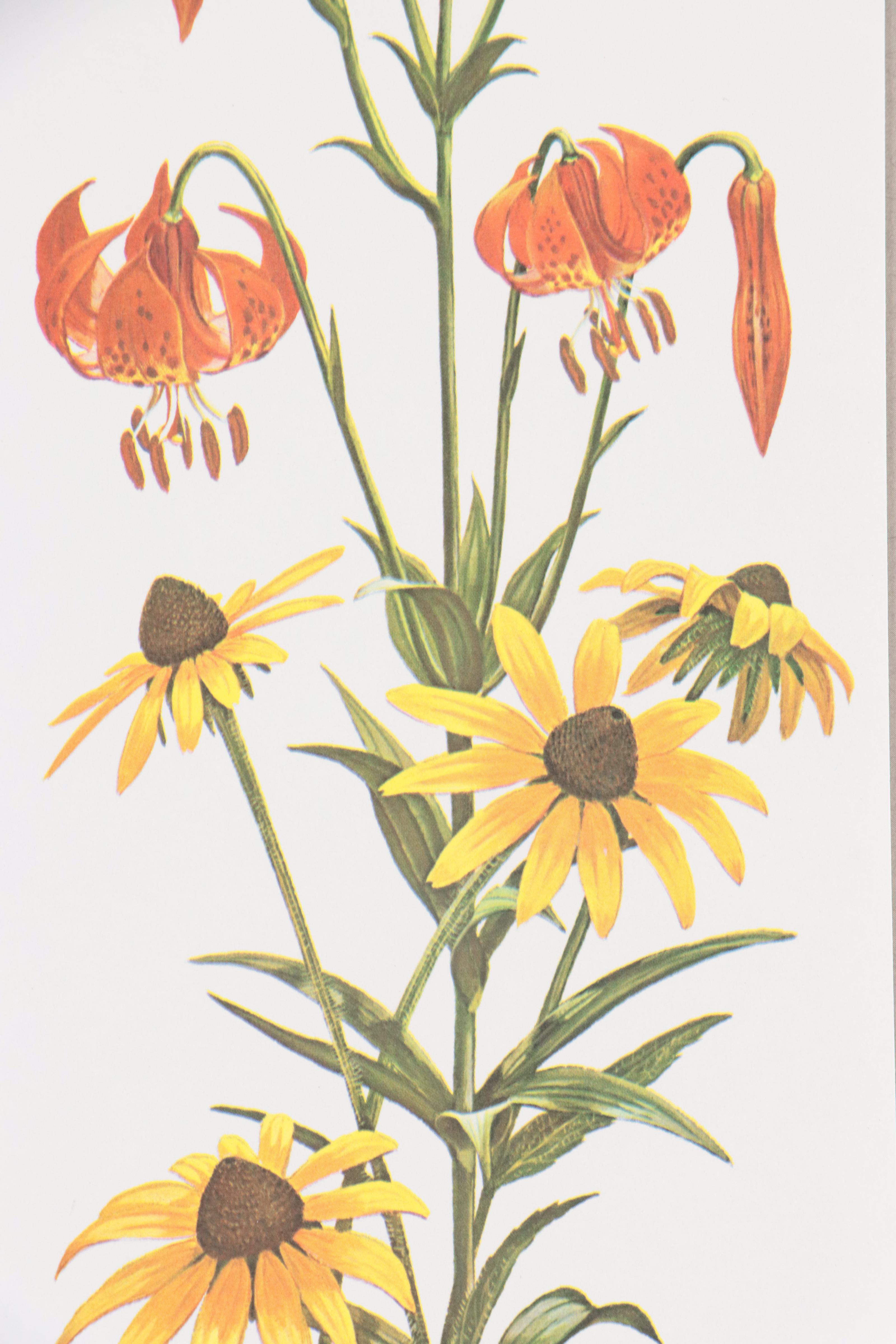 Ray Harm Floral Offset Lithograph Portfolios, Circa 1970 | EBTH