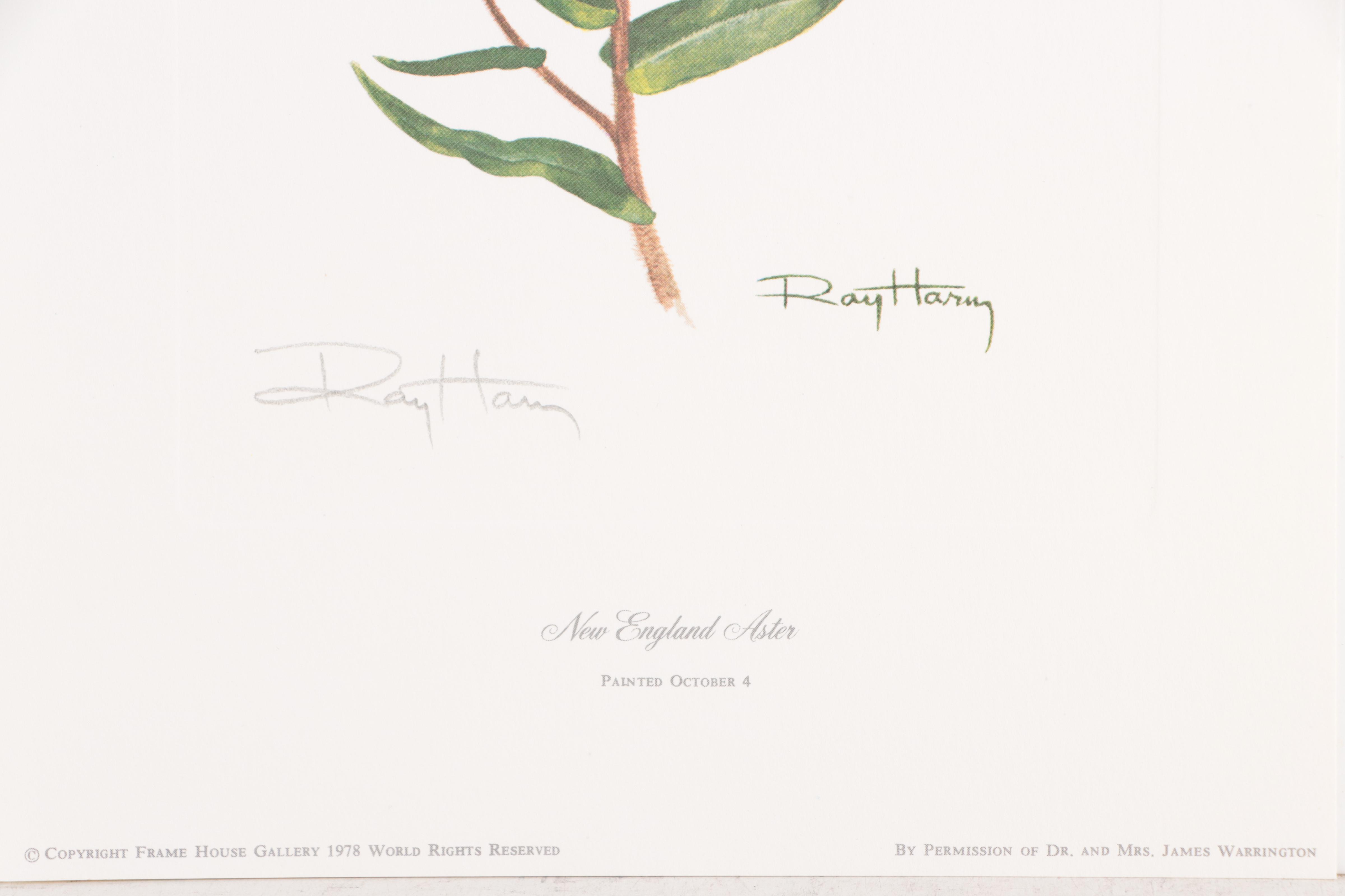Ray Harm Floral Offset Lithograph Portfolios, Circa 1970 | EBTH