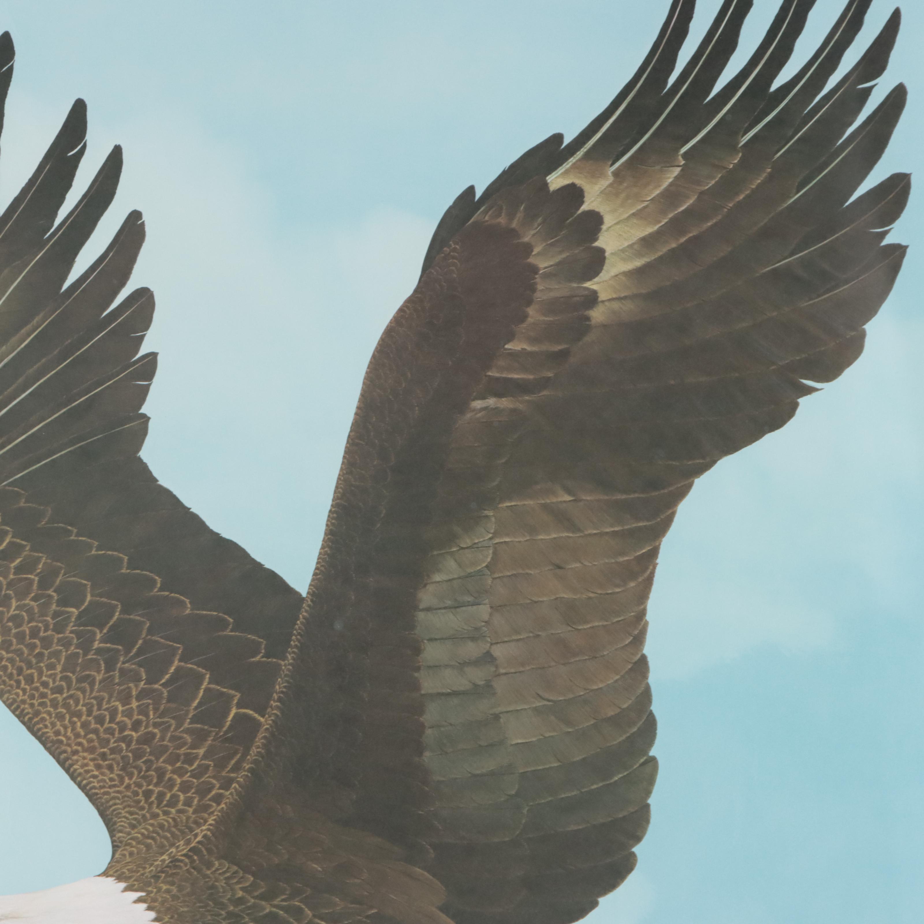 Ray Harm Offset Lithograph "American Eagle" | EBTH