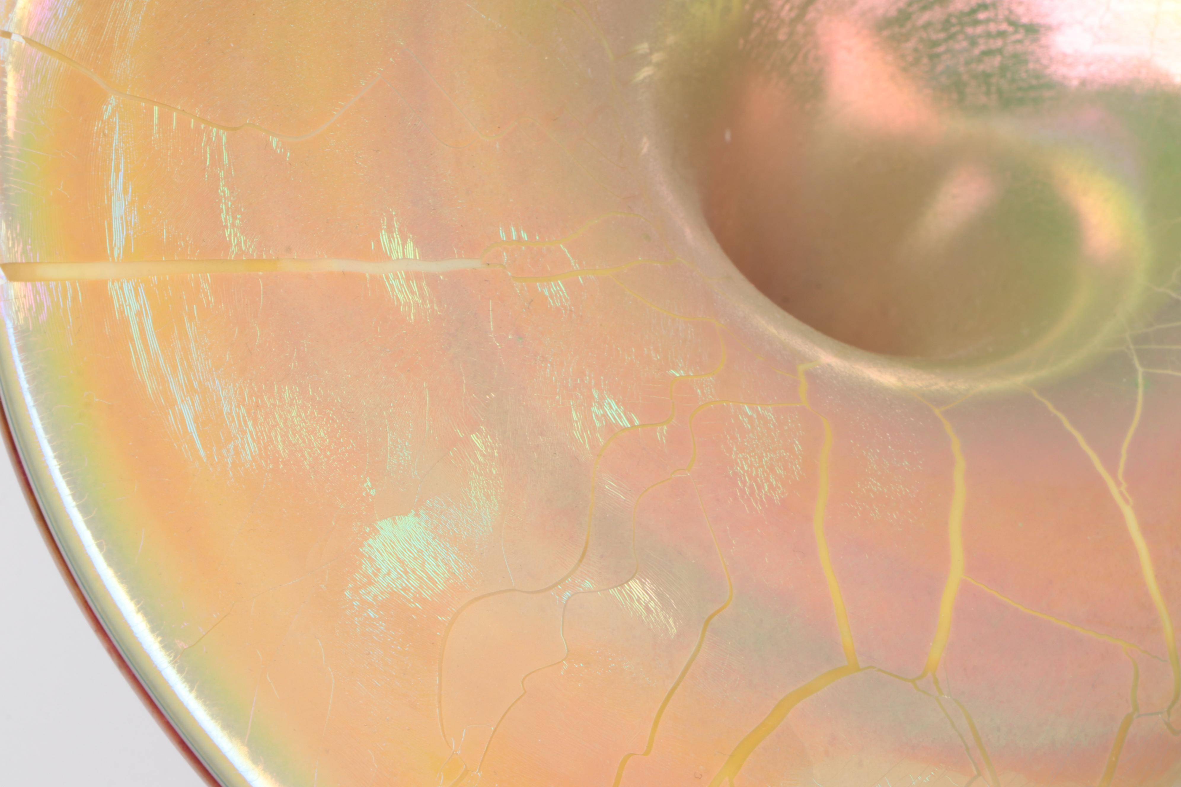 Stuart Abelman Blown Glass Iridescent Jack-in-a-Pulpit Vase, 2002 | EBTH