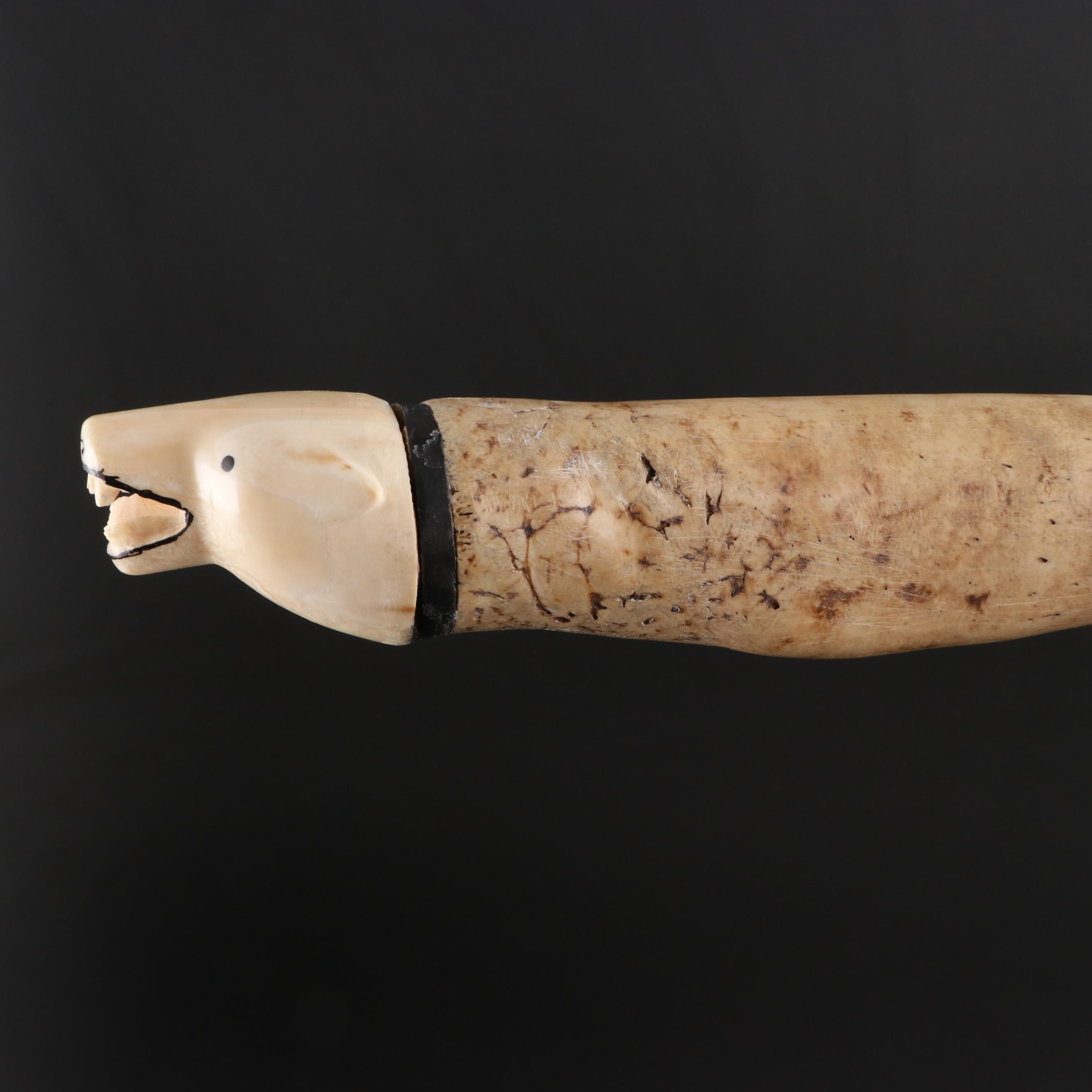 Fossilized Walrus Oosik with Carved Caps | EBTH