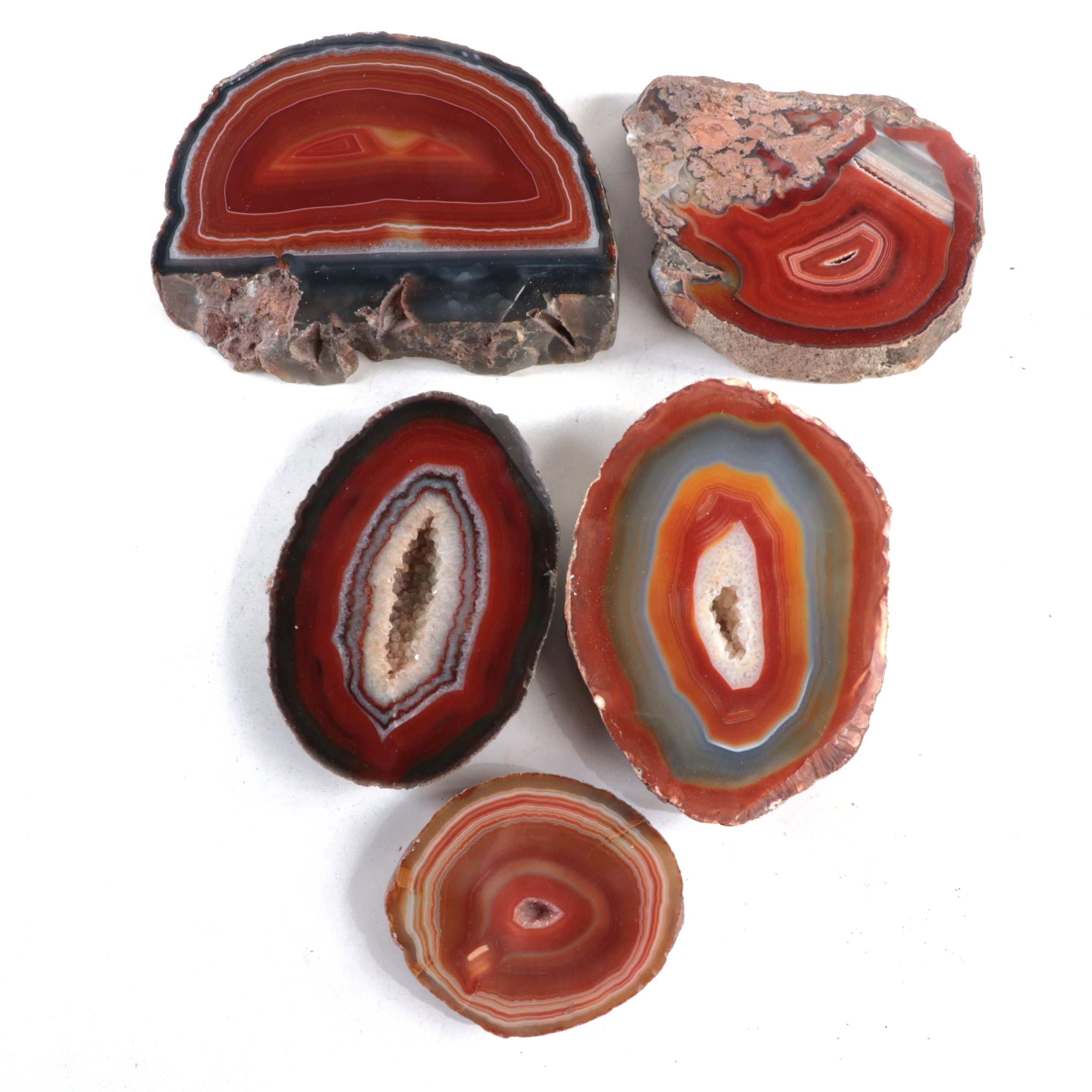 Sliced and Polished Agate Geode Specimens | EBTH