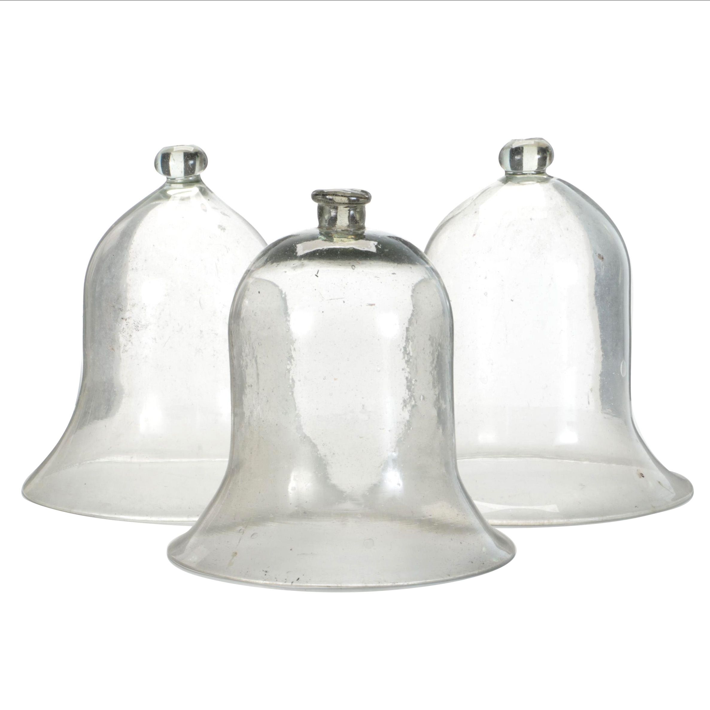 Glass Bell Form Garden Cloches | EBTH