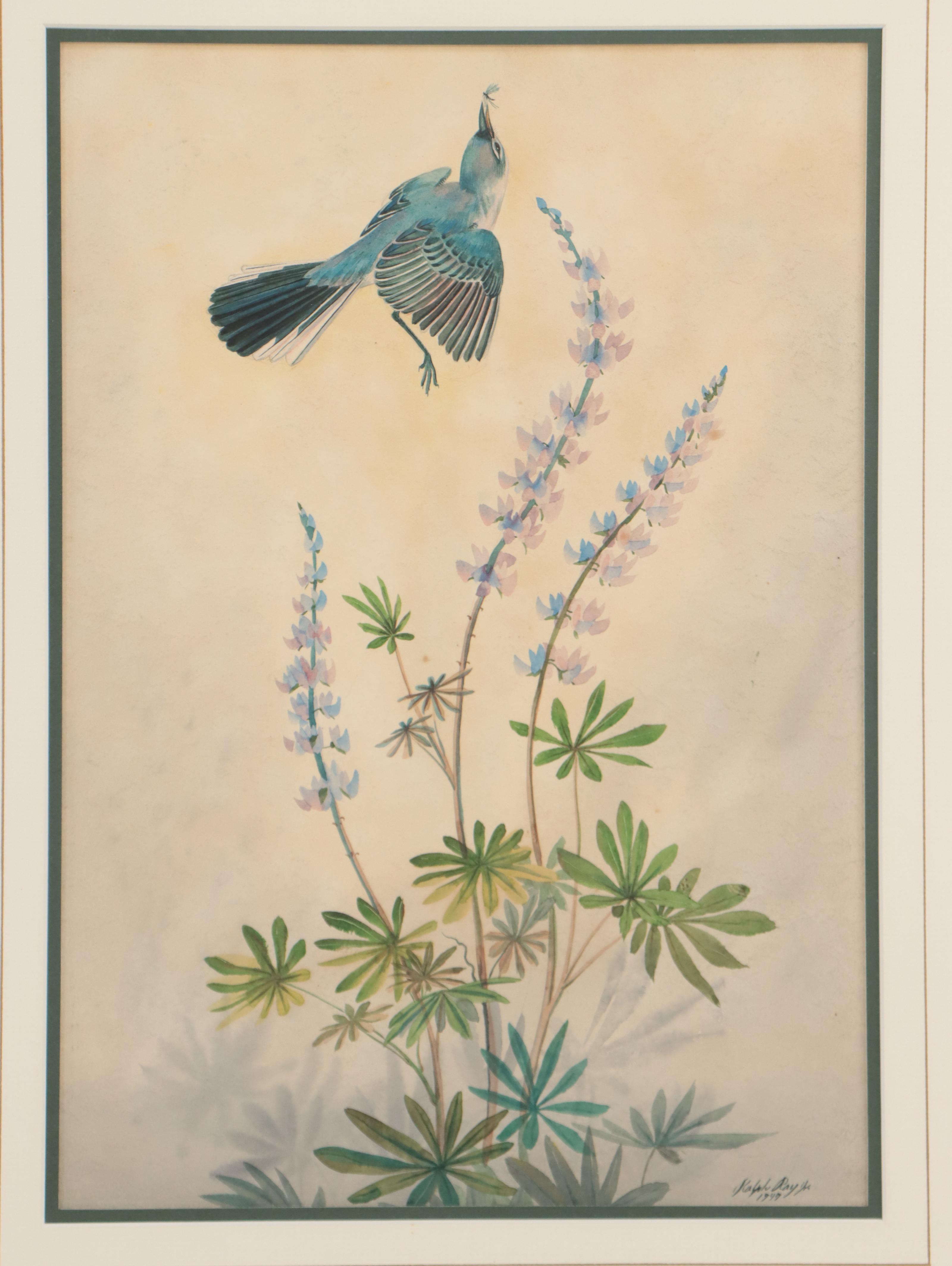 Ralph Ray Jr. Watercolor Paintings of Flowers and Birds, 1944 and 1947 ...