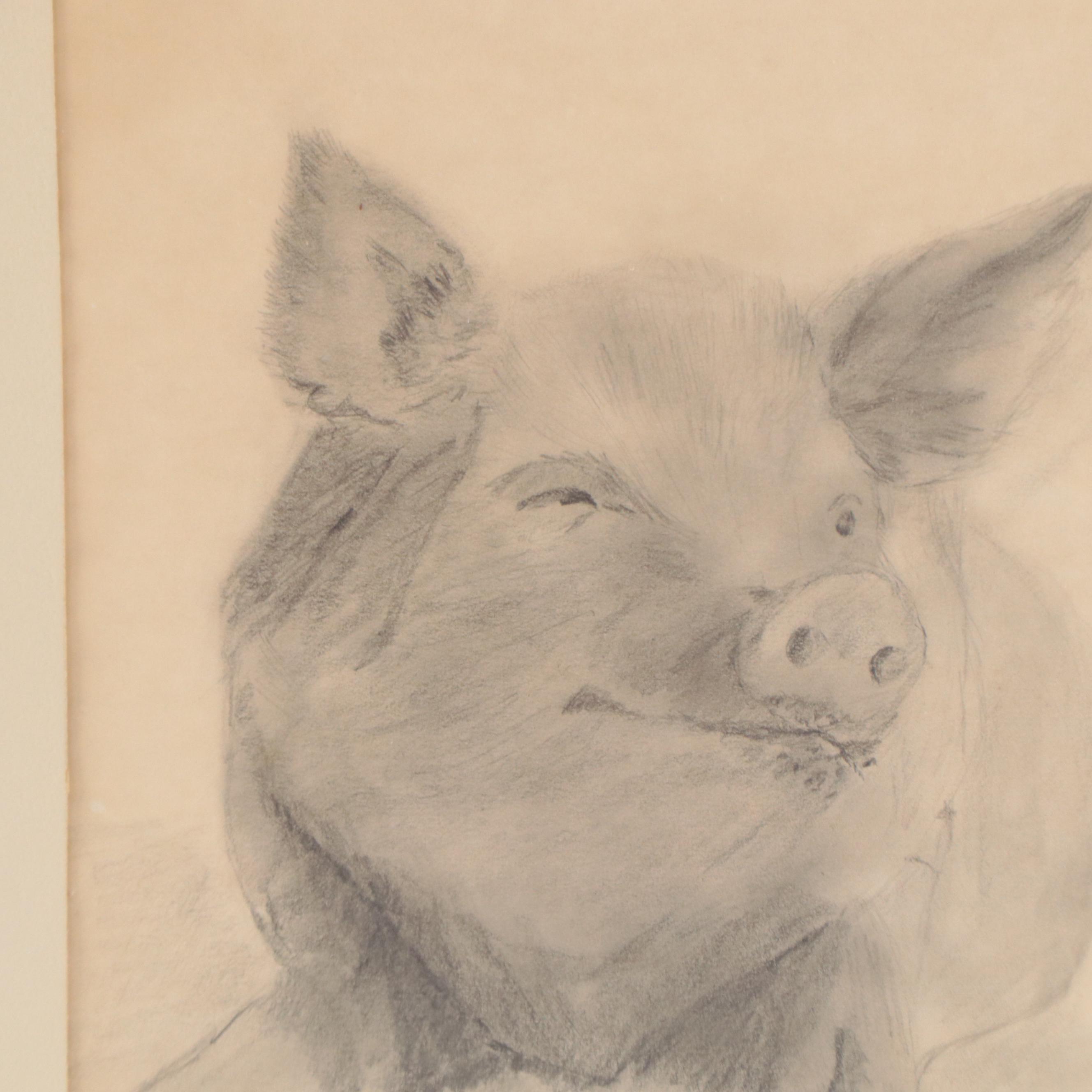 Lori Weiner Graphite Drawing of a Pig, 1983 | EBTH