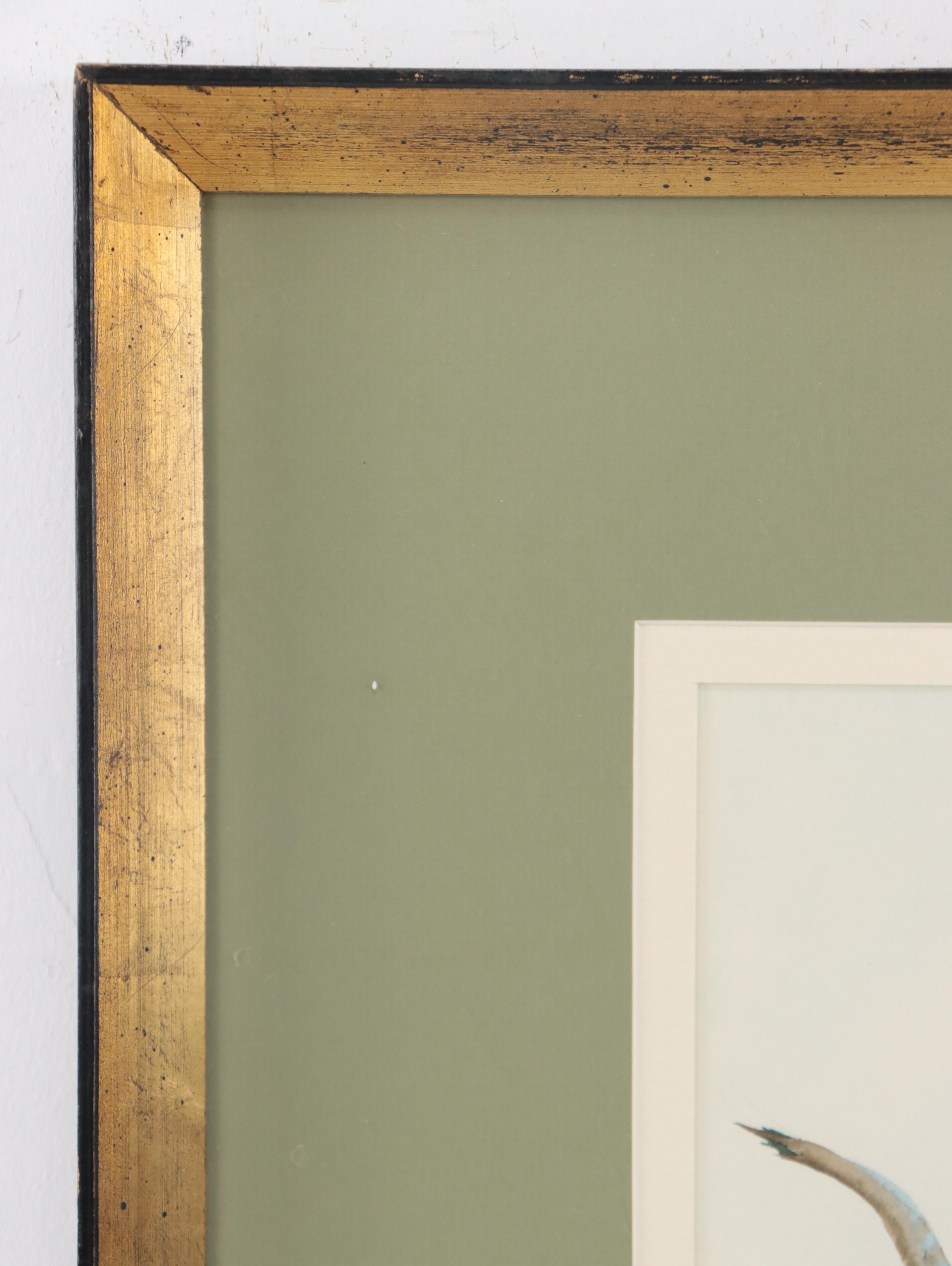 Ralph Ray Jr. Watercolor Painting of Great Blue Heron, 1950 | EBTH