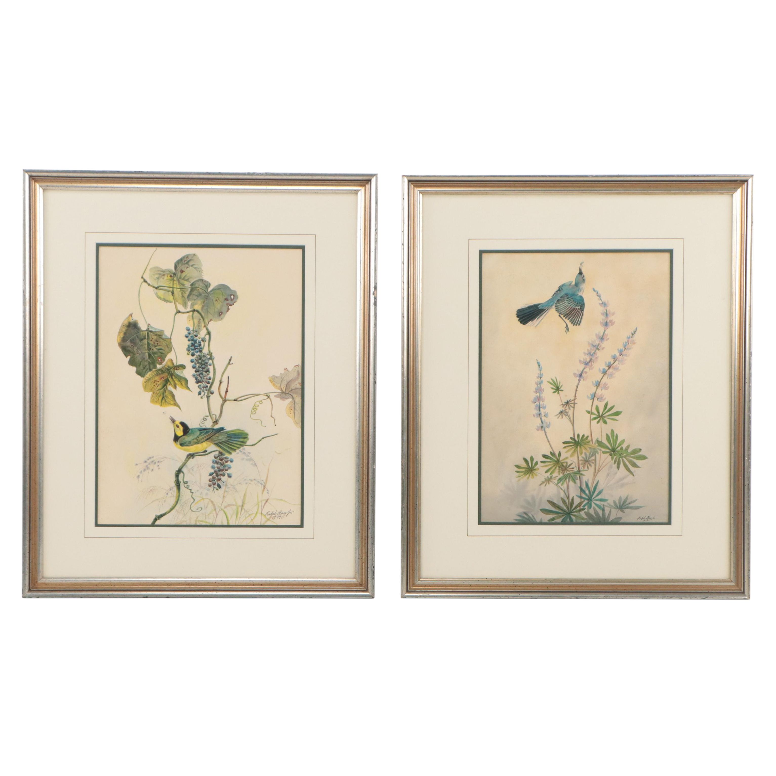 Ralph Ray Jr. Watercolor Paintings of Flowers and Birds, 1944 and 1947 ...