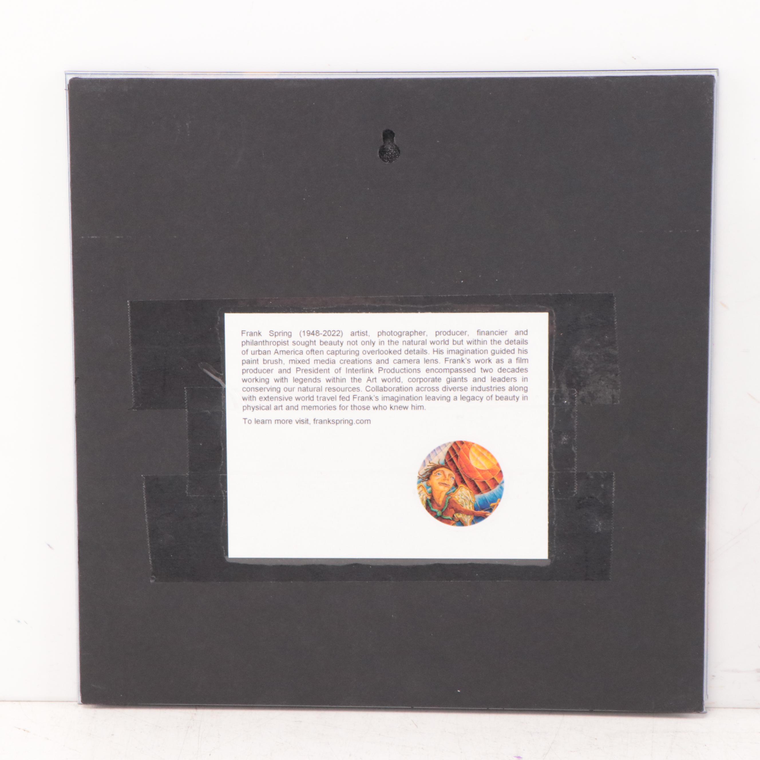 Frank Spring Stylized Dye Sublimation Print | EBTH