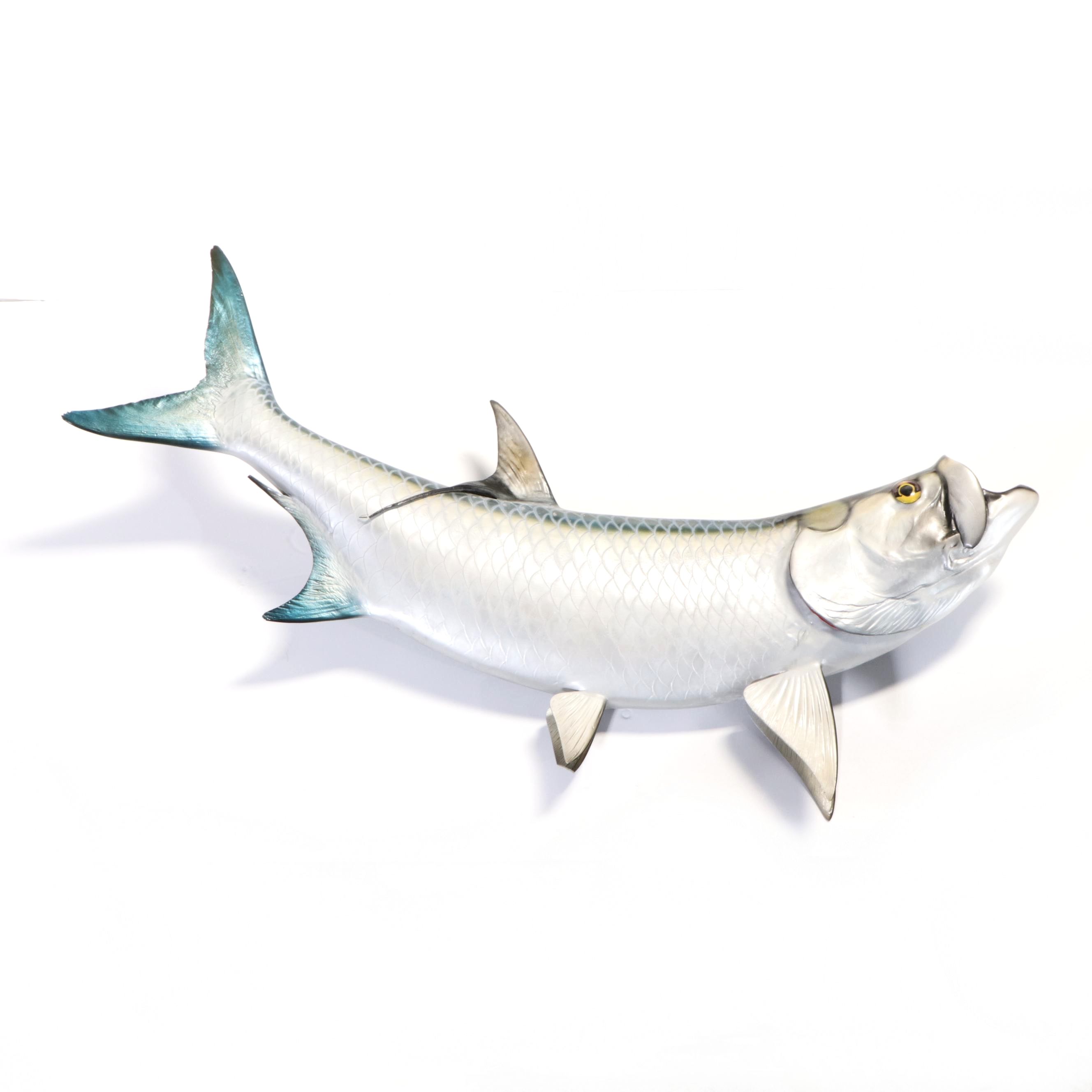 Atlantic Tarpon Taxidermy Fiberglass Model | EBTH