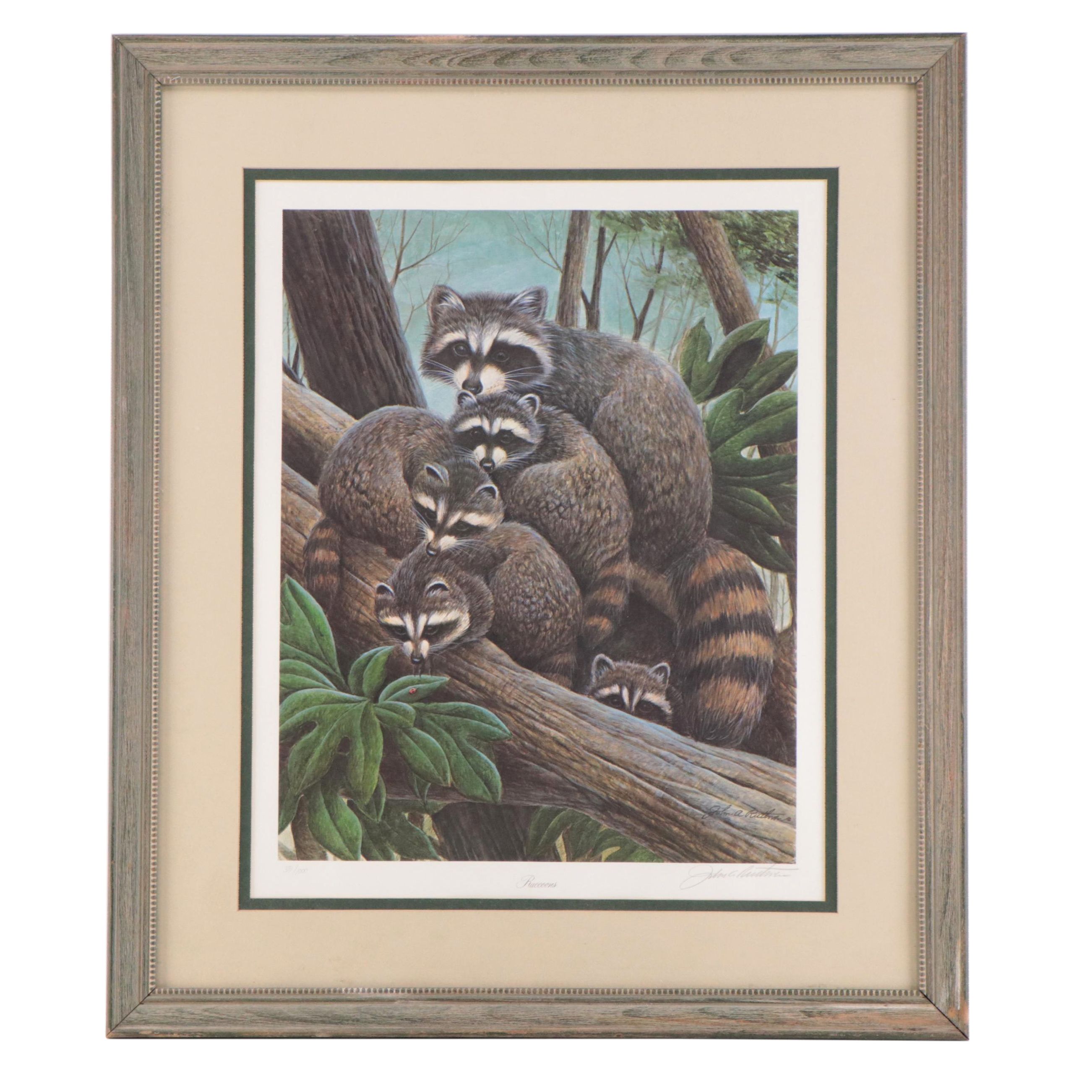 John Ruthven Offset Lithograph "Raccoons" | EBTH