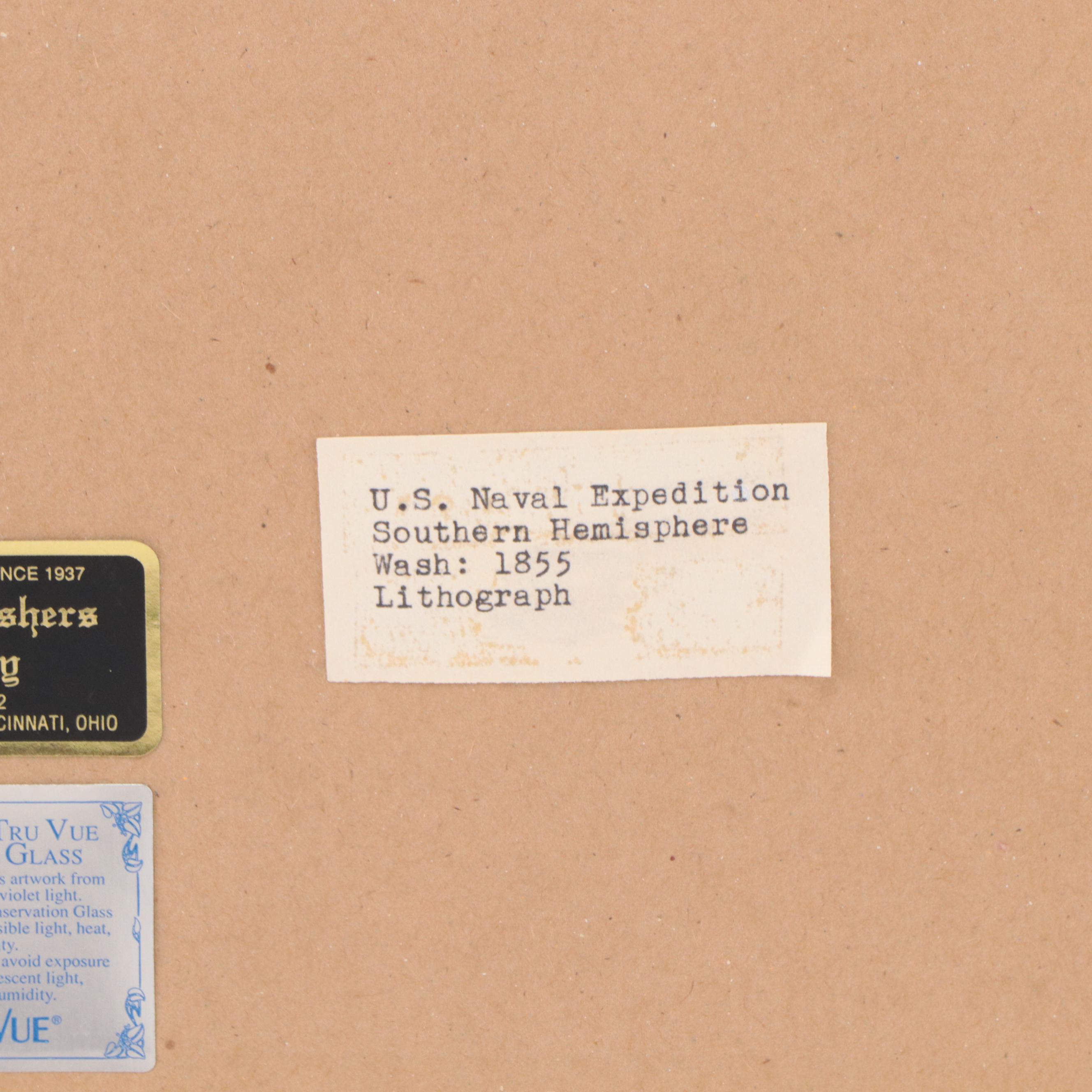 Scientific Engraving of Snakes for U.S. Naval Astronomical Expedition ...