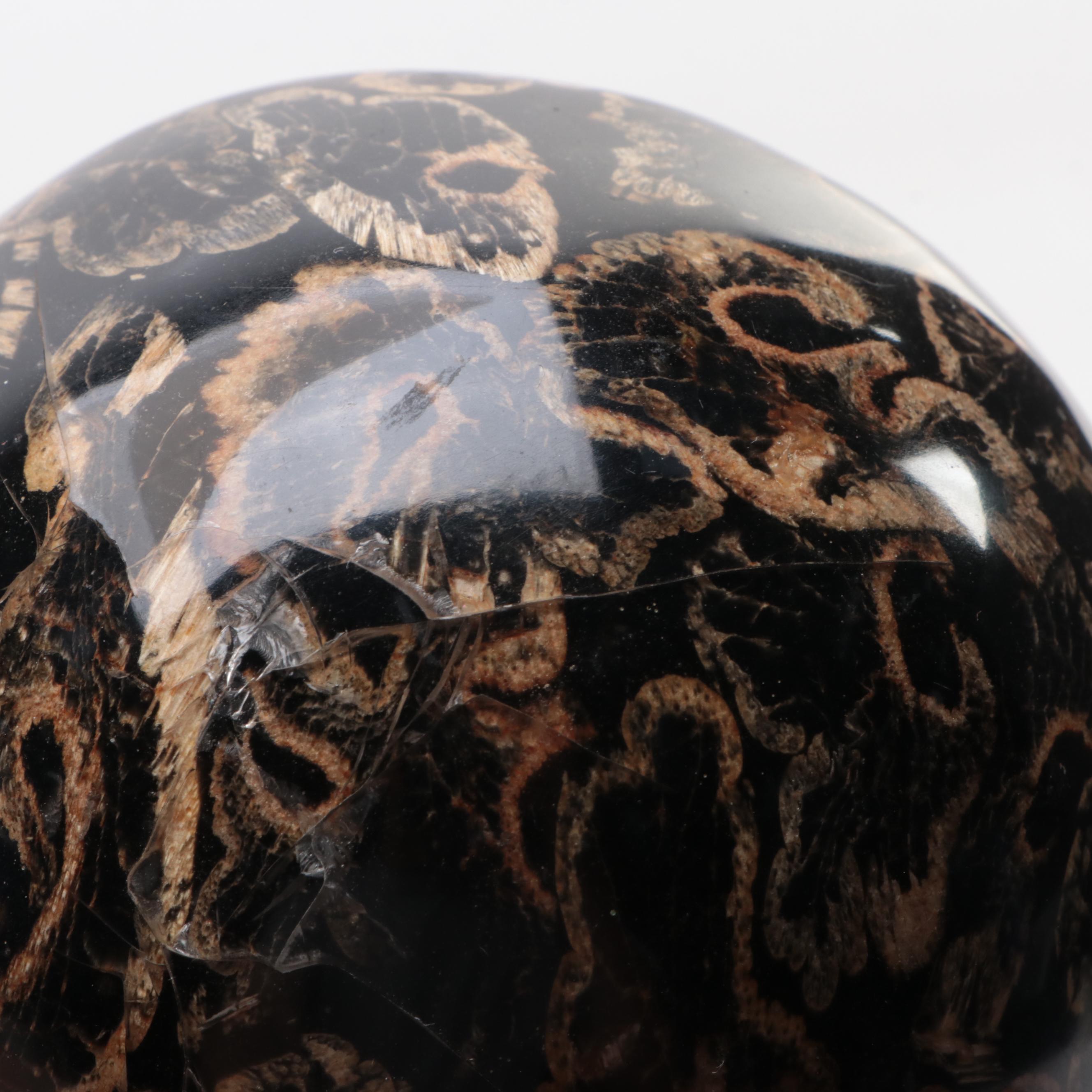 Wooden Tray with Black and Tan Decorative Orbs | EBTH