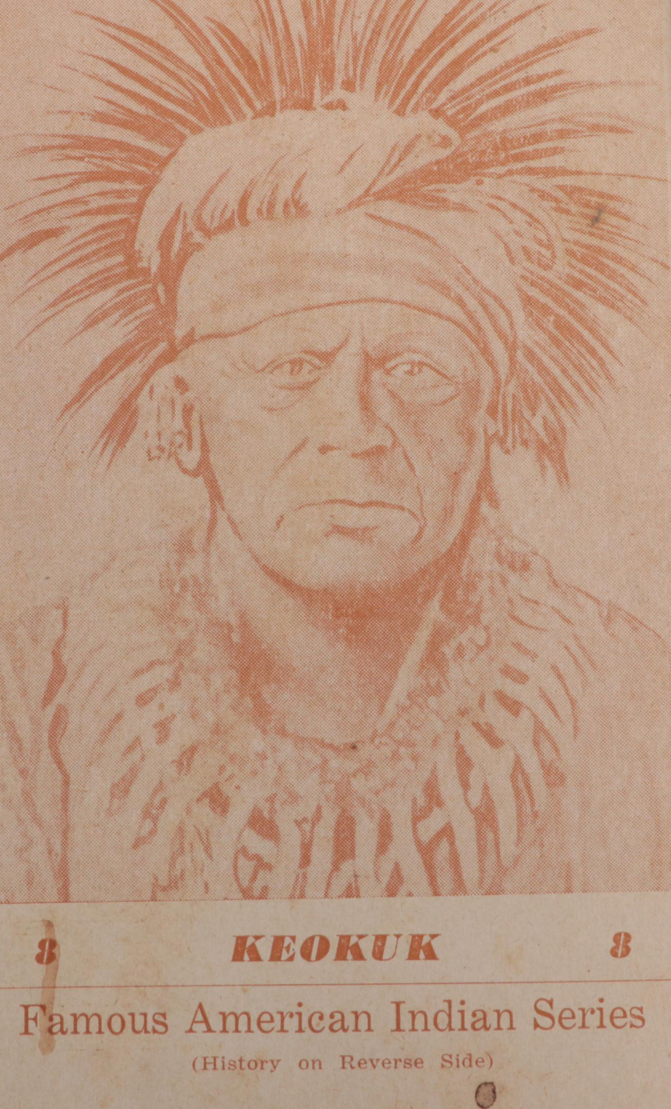 American West Portraiture Postcard Collection, Late 19th Century | EBTH