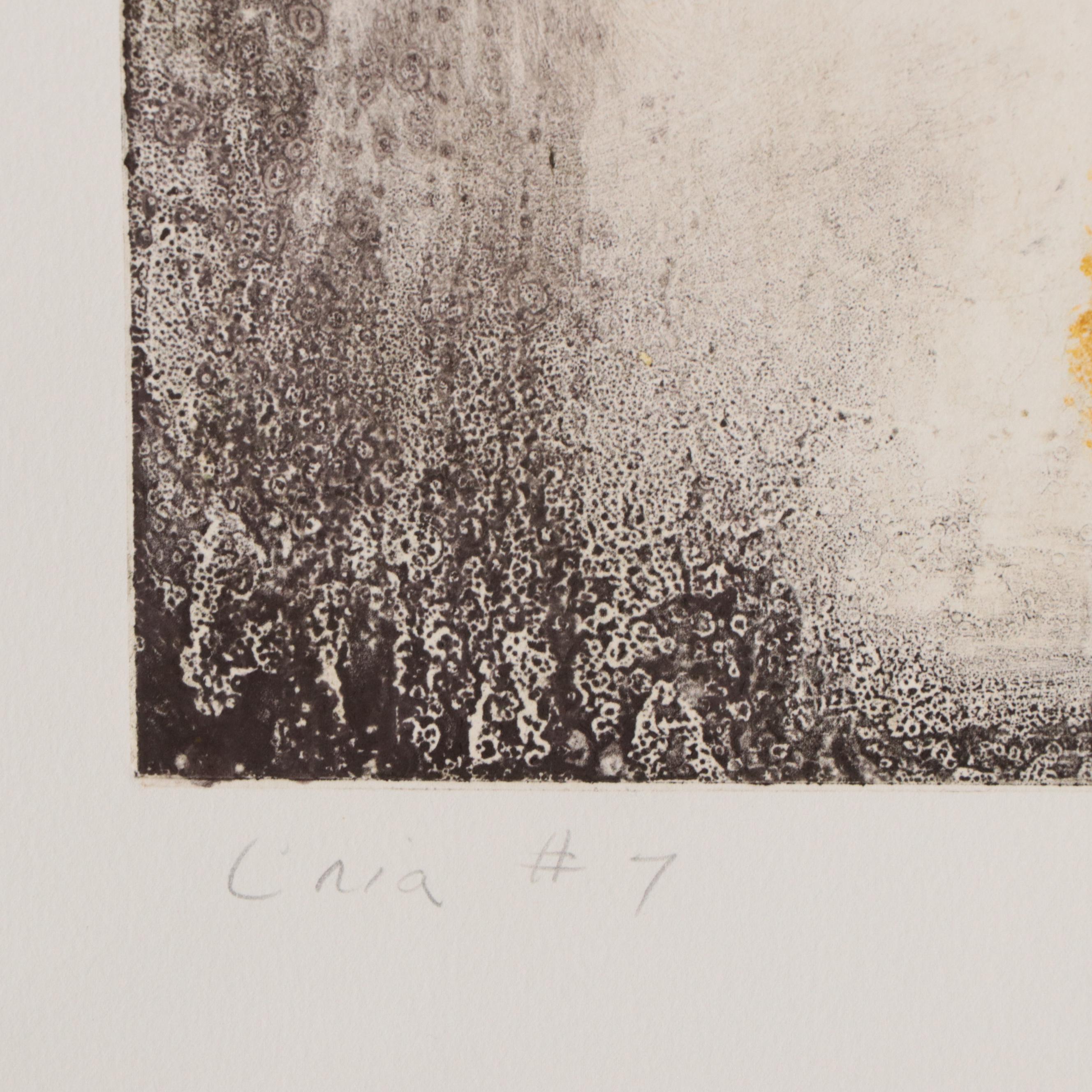 Joseph Haske Monoprints "Cria #7" and "Cria #12," 2000 | EBTH