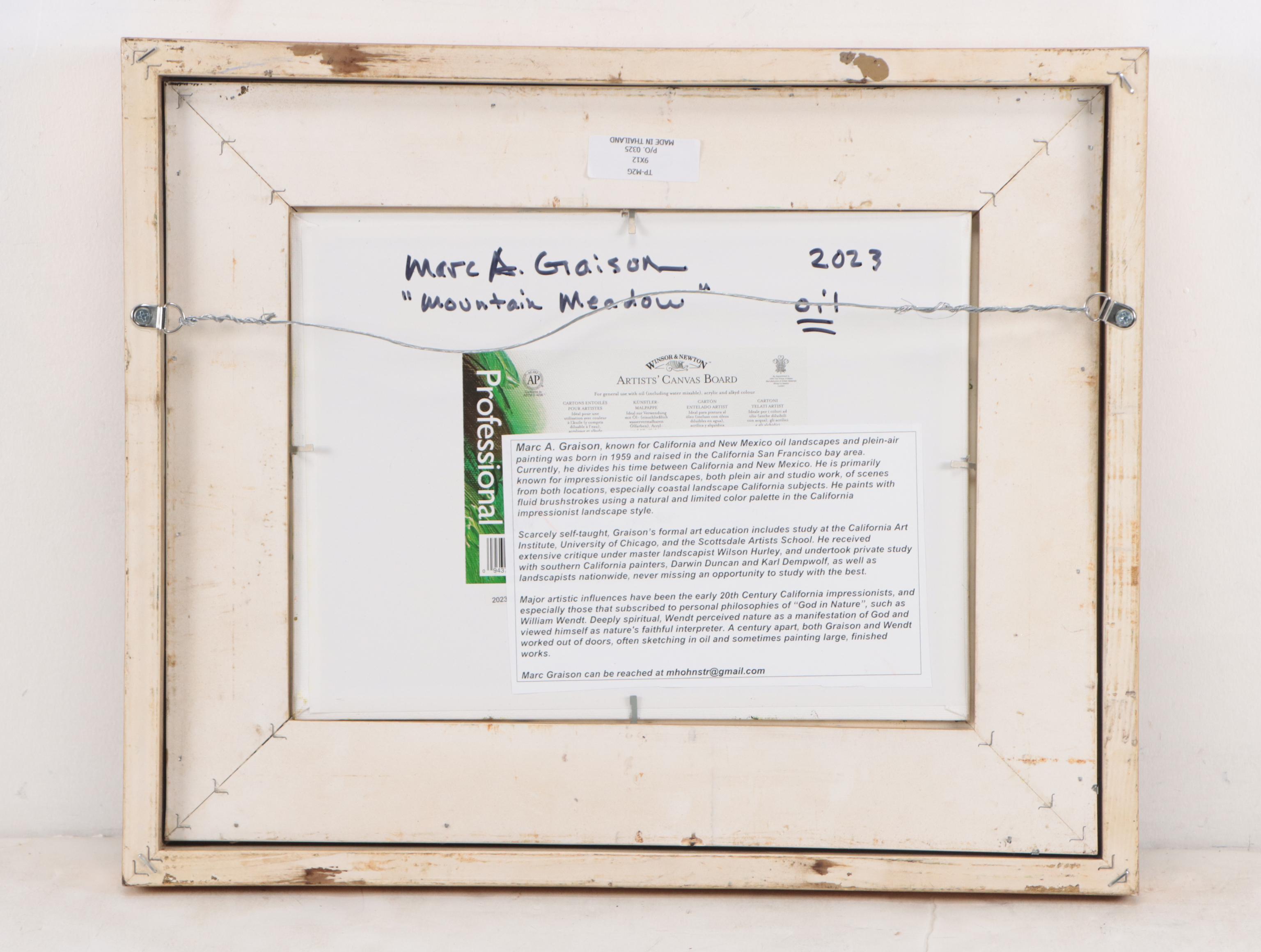 Mark A. Graison Landscape Oil Painting "Mountain Meadow," 2023 | EBTH