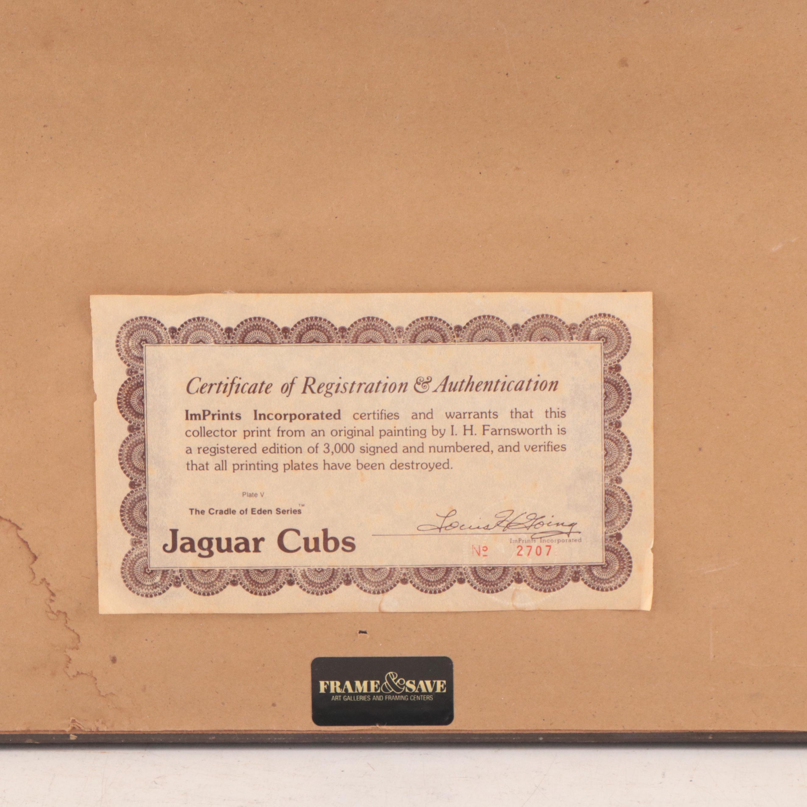 Imogene Farnsworth Offset Lithograph "Jaguar Cubs" | EBTH