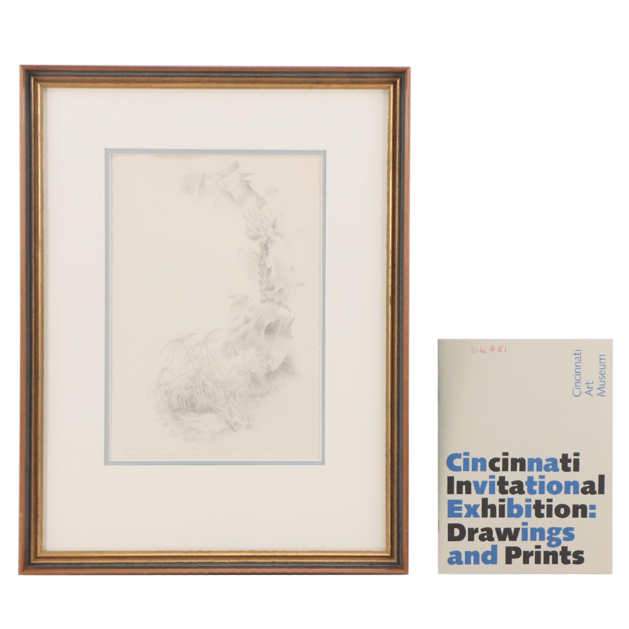 Constance McClure Graphite Drawing of Tropical Foliage, 1973 | EBTH