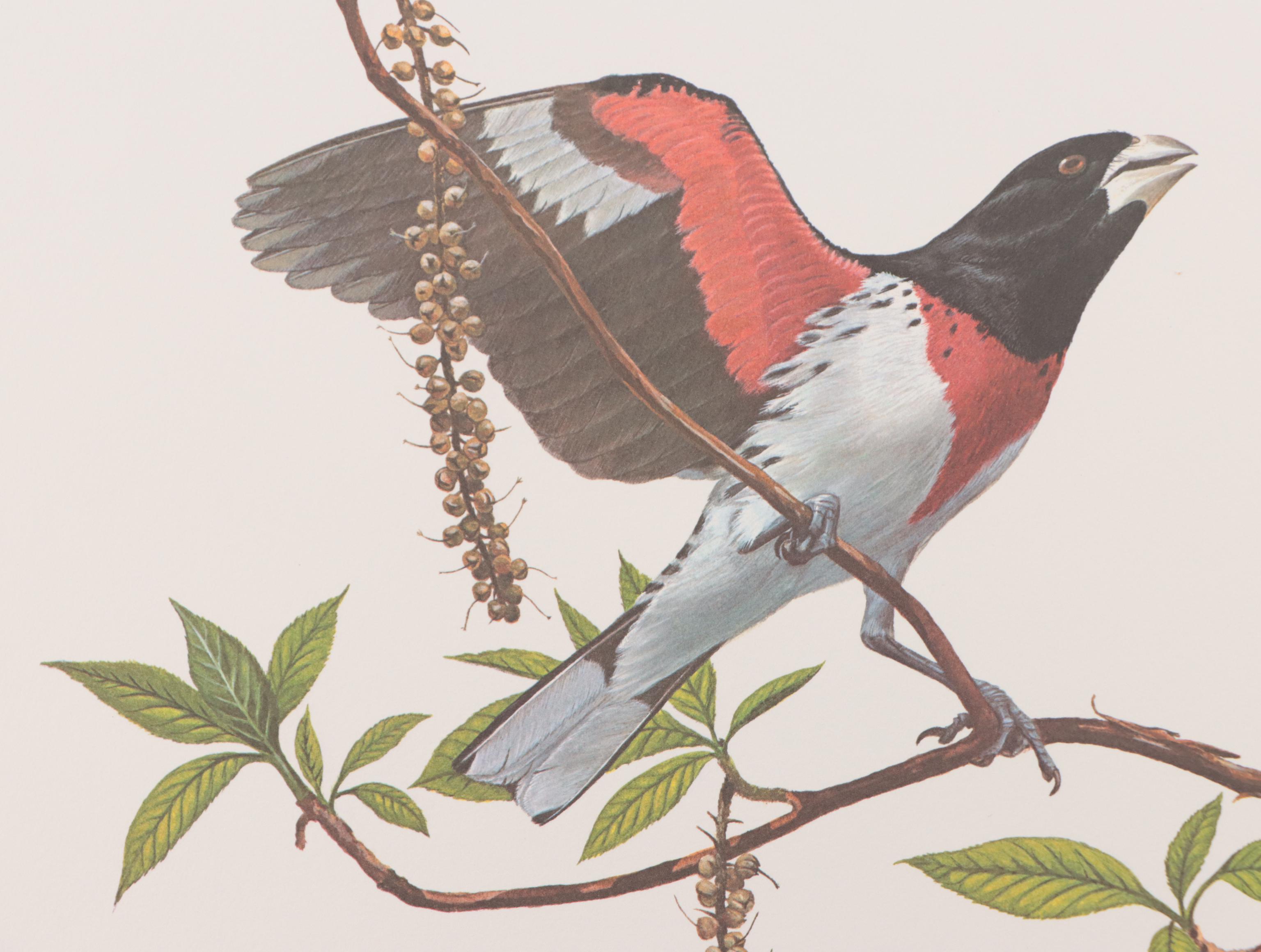 Ray Harm Offset Lithograph "Rose-breasted Grosbeak," 1971 | EBTH