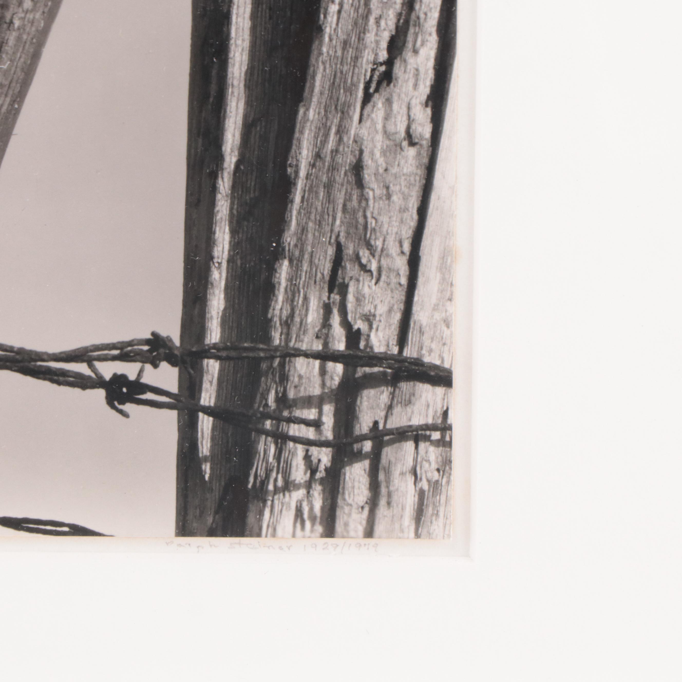 Ralph Steiner Silver Gelatin Photograph | EBTH