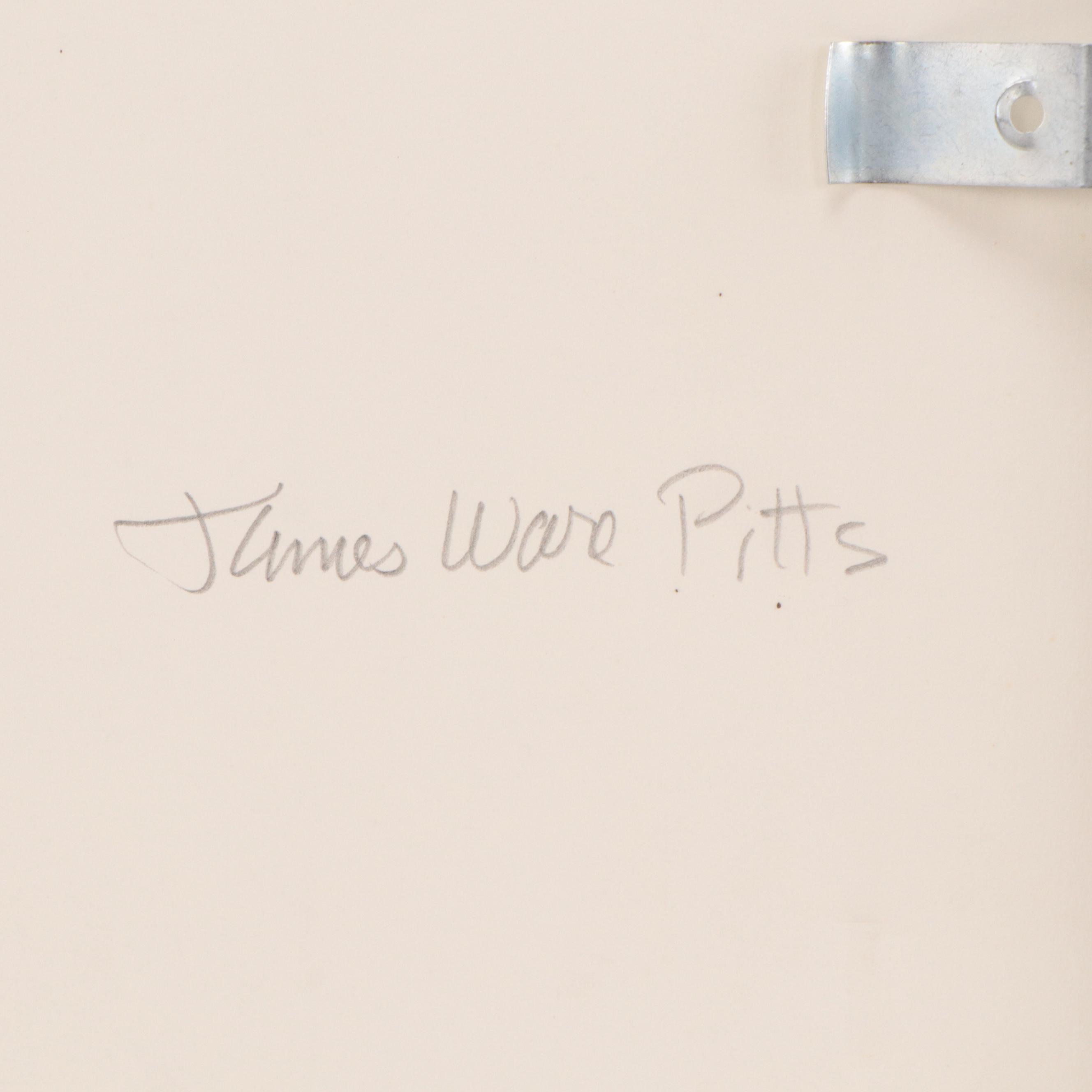 James Ware Pitts Silver Gelatin Print of Gorilla | EBTH